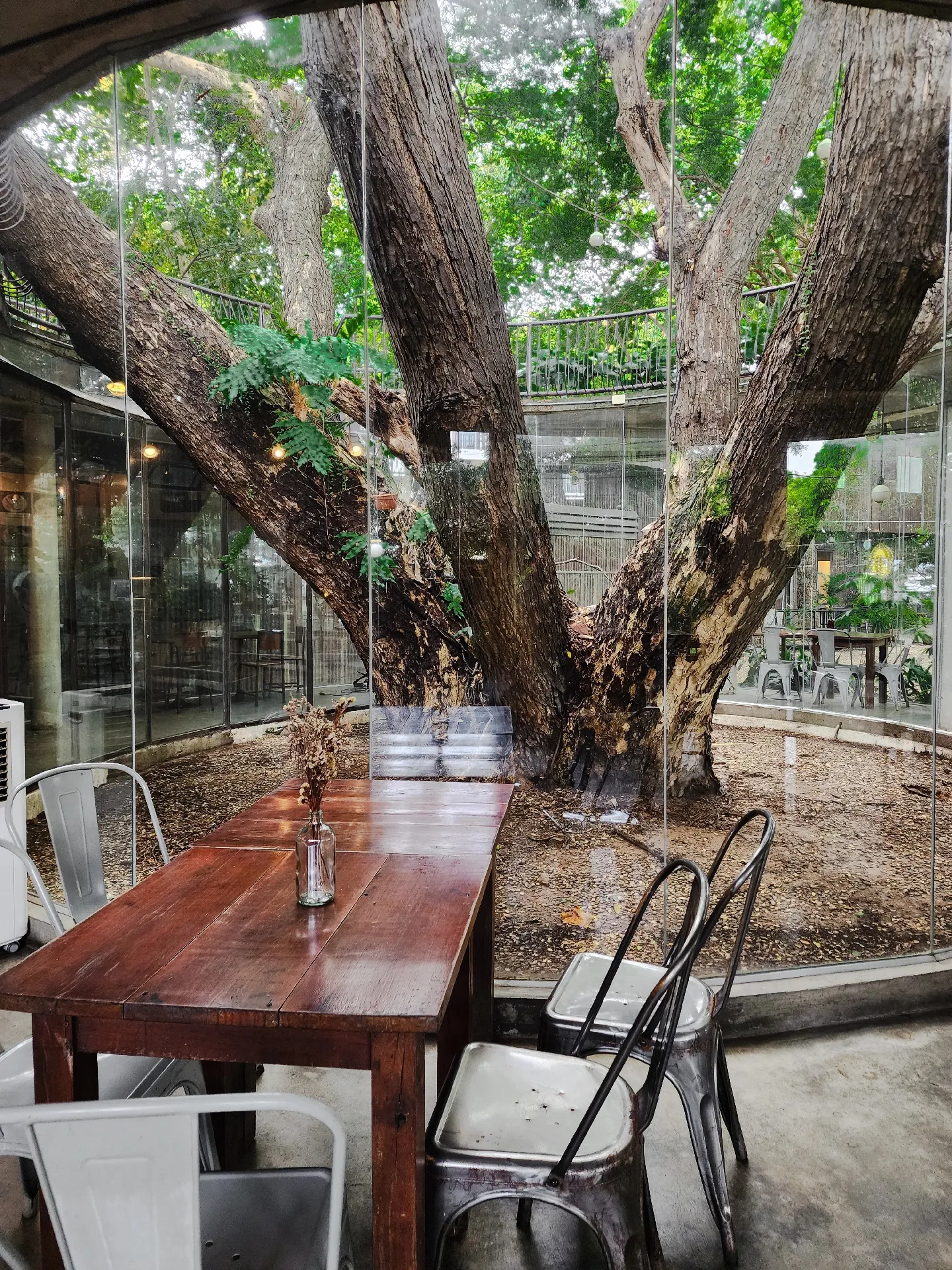 Rounded Face Sweet Milk | Wild Line Cafe | Bang Hundred Thousand ...
