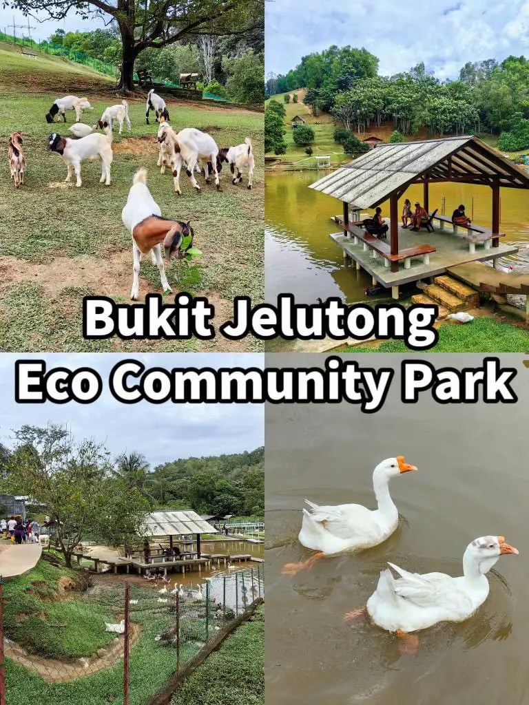 🇲🇾10 Nice Sunset View Parks in KL | Galeri disiarkan oleh Wen Kai | Lemon8