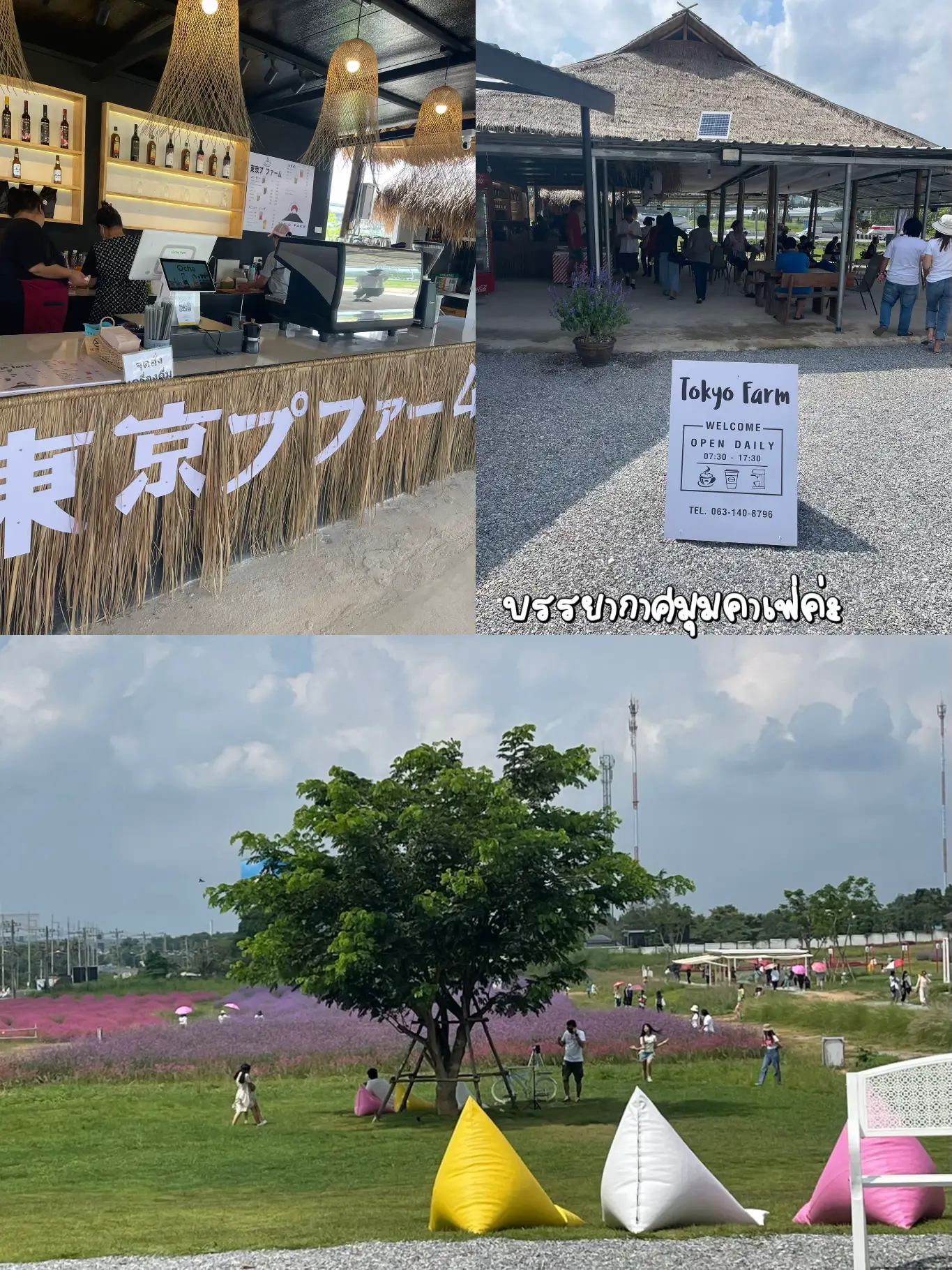 พาชม Tokyo Farm ปากช่อง (โคราช) ดอกไม้สวยมาก 🌸 | Gallery posted by Parn ...