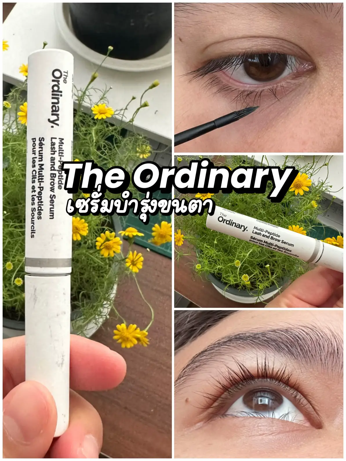ริวิวหลังจากที่ได้ใช้เซรั่มบำรุงขนตา The Ordinary | แกลเลอรีที่โพสต์โดย ...