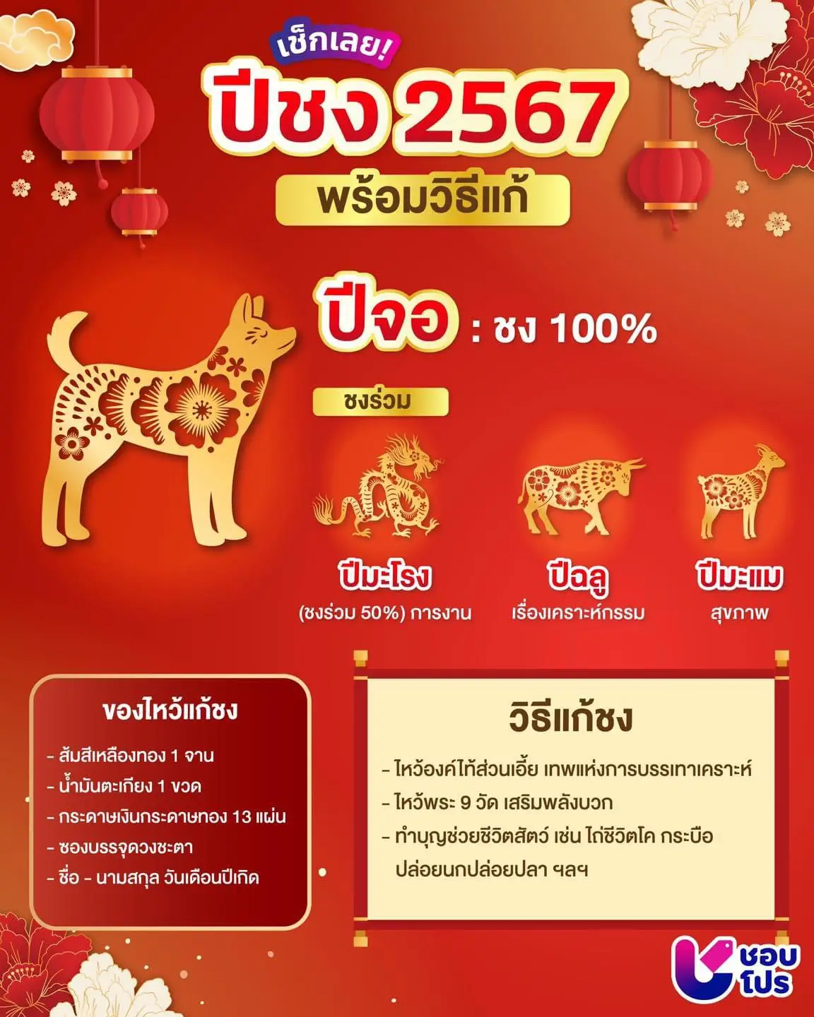 ปีชง 2567 | แกลเลอรีที่โพสต์โดย Noona_aaa | Lemon8