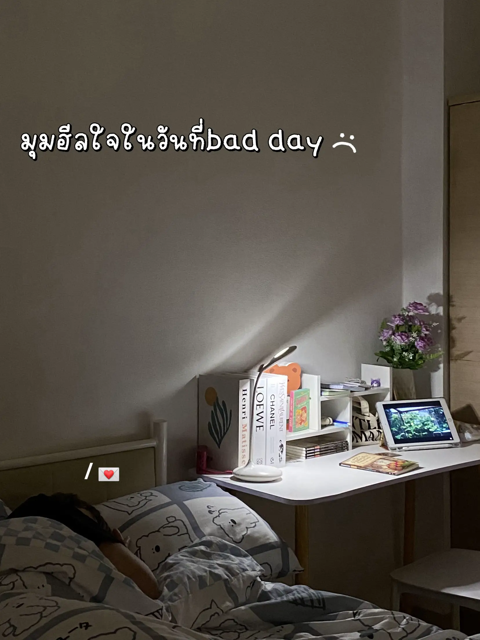 มุมฮีลใจ 🤍 | แกลเลอรีที่โพสต์โดย Nonnbell.🤍 | Lemon8