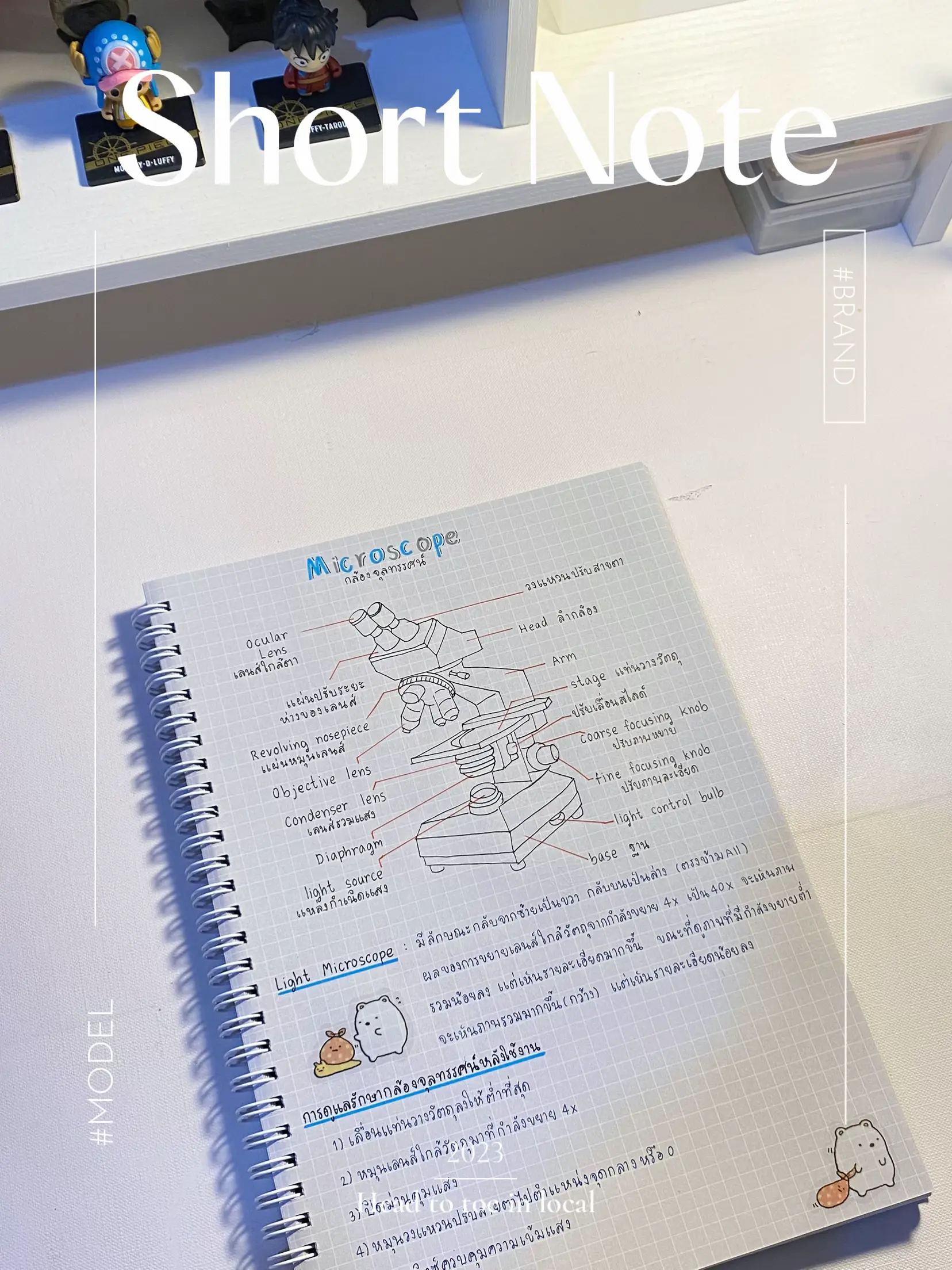 ไอเดีย Short Note ง่ายๆเป็นระเบียบ | แกลเลอรีที่โพสต์โดย Nutcha B | Lemon8