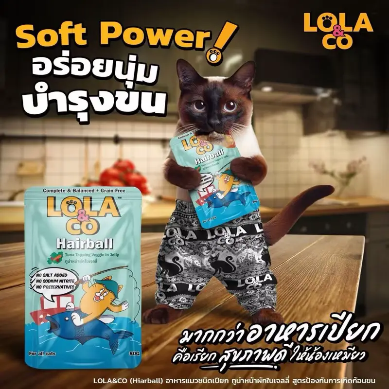 อาหารเปียกน้องแมว | แกลเลอรีที่โพสต์โดย Niramon B. | Lemon8