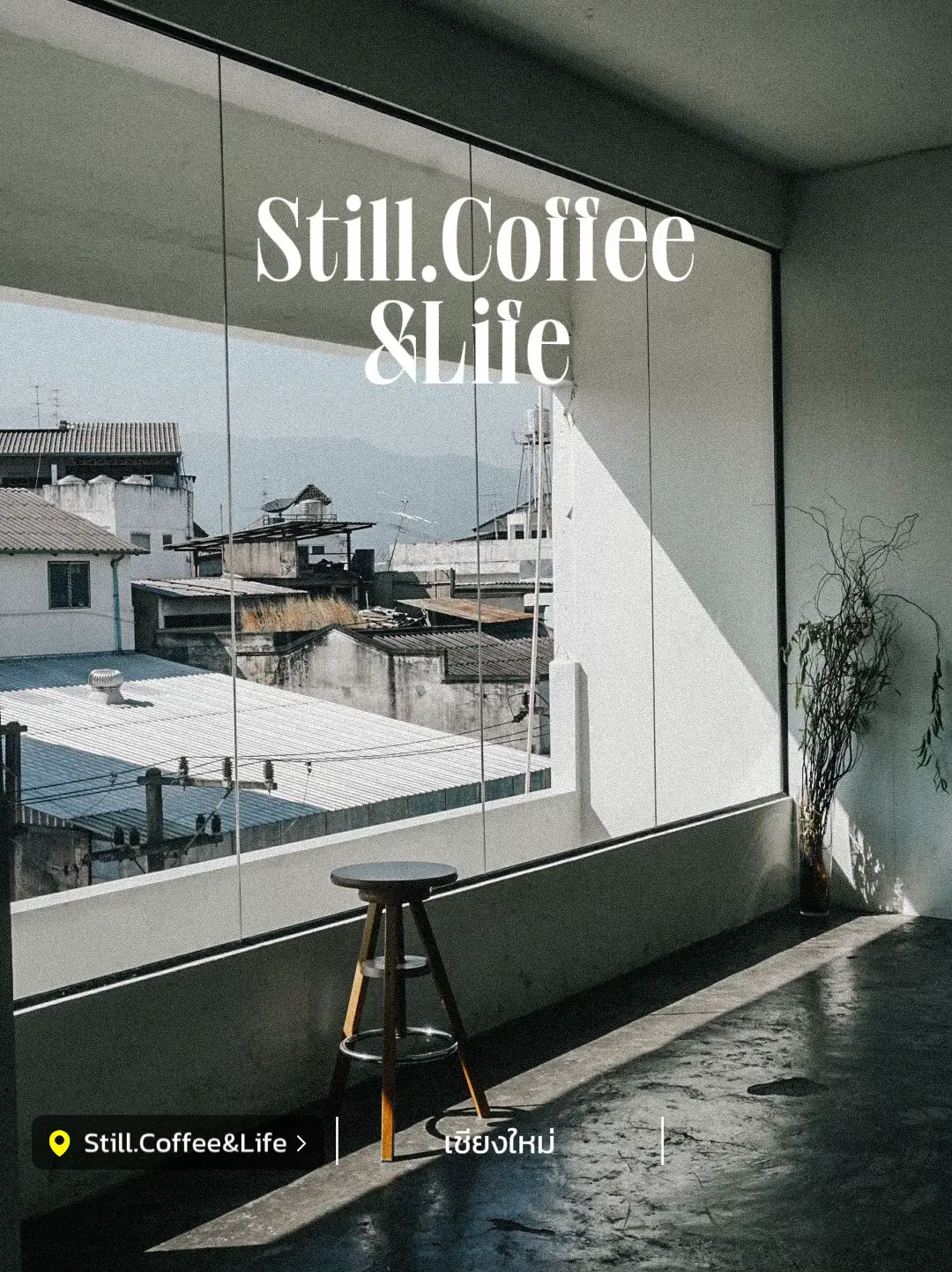 Still.Coffee&Life | นั่งกินกาแฟชมวิวกาดหลวงเชียงใหม่ 🤍 | แกลเลอรีที่ ...