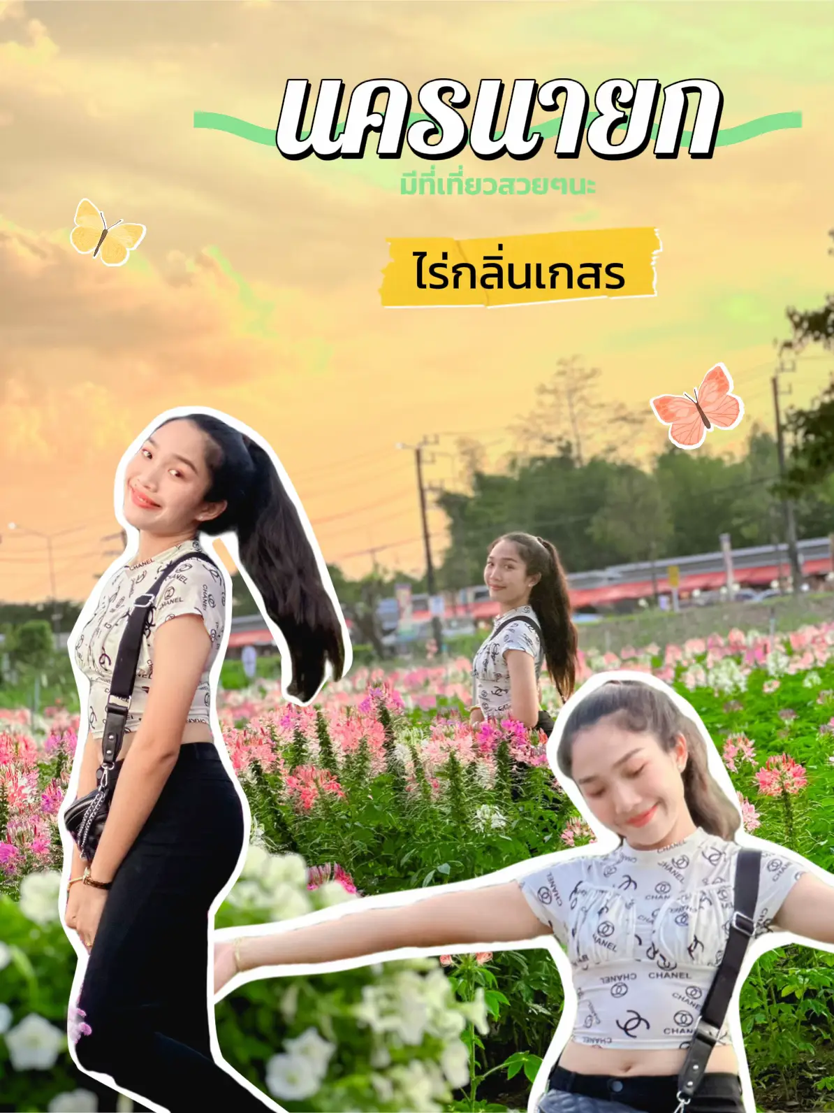 ไร่กลิ่นเกสร🥰 | แกลเลอรีที่โพสต์โดย Thitima Sansaom | Lemon8