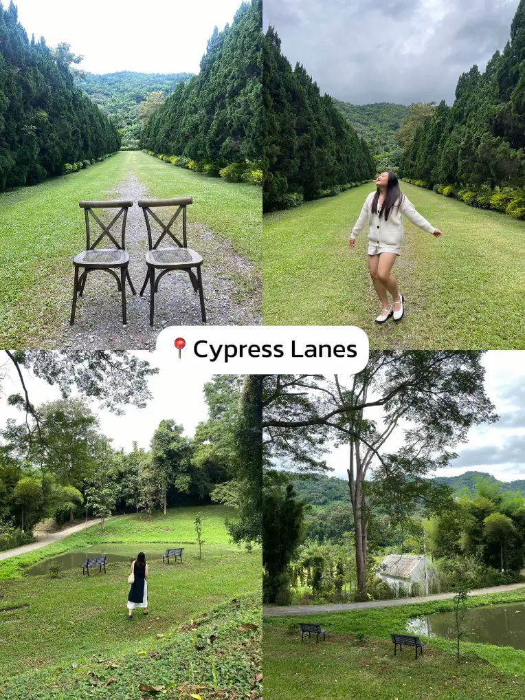 แจกแพลนเที่ยวเชียงใหม่! | แกลเลอรีที่โพสต์โดย น่าไปนะ | Lemon8