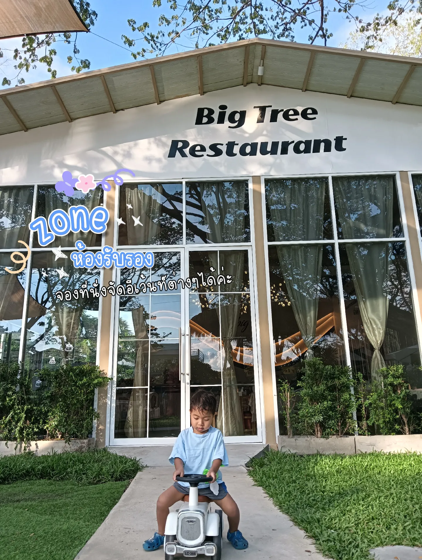 📍The Big Tree Cafeปักหมุดคาเฟ่ใหม่ ห้ามพลาด~ | แกลเลอรีที่โพสต์โดย ...