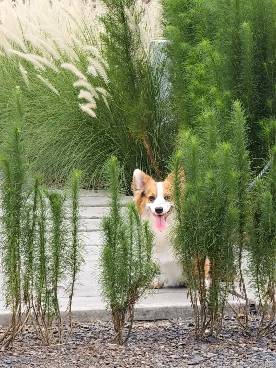 LAMER HOMECRAFT CAFE 🌾 | แกลเลอรีที่โพสต์โดย aster.corgi | Lemon8