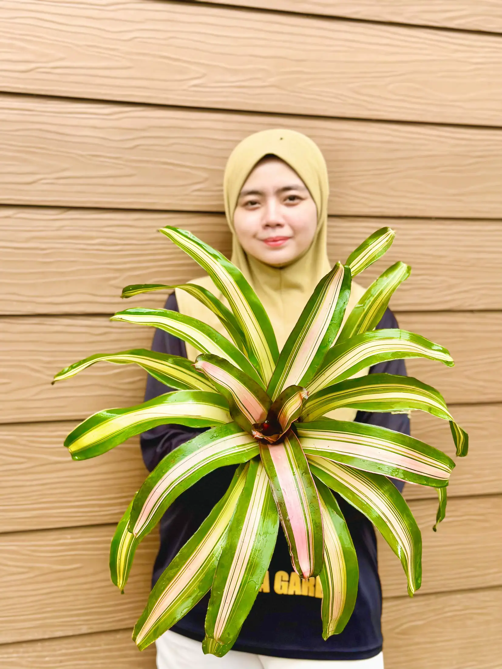 NEW IN ID AVALON 🤩 | Galeri disiarkan oleh D Lola Garden | Lemon8