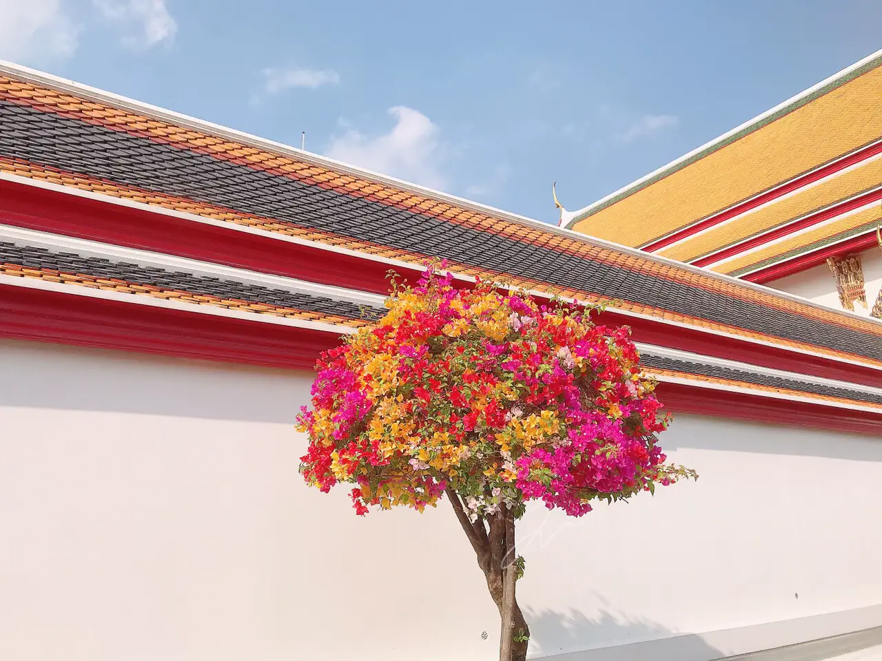 เดิน•เล่น•ถ่ายรูป 📷 | แกลเลอรีที่โพสต์โดย Fasai_Diary | Lemon8