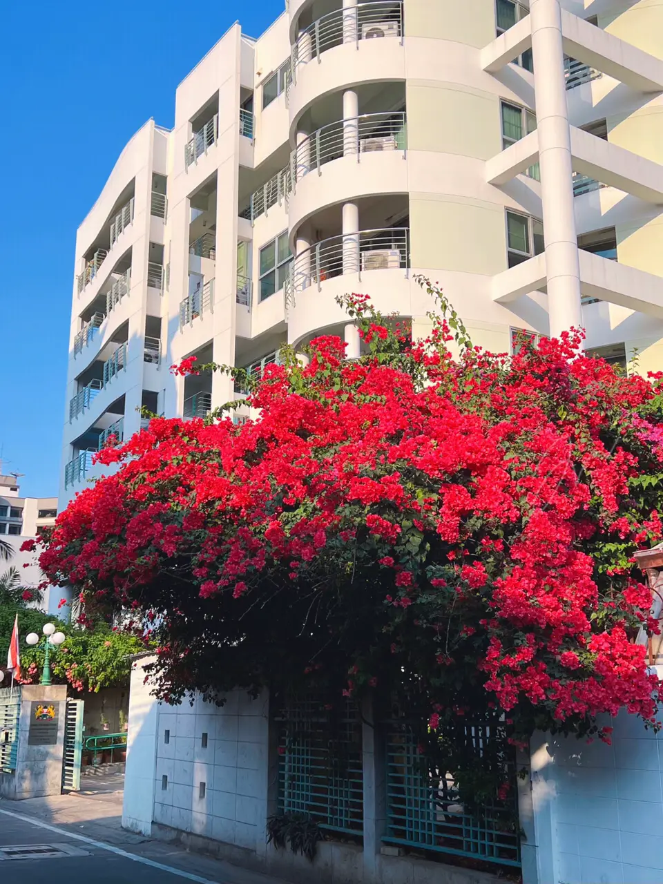 เดิน•เล่น•ถ่ายรูป 📷 | แกลเลอรีที่โพสต์โดย Fasai_Diary | Lemon8