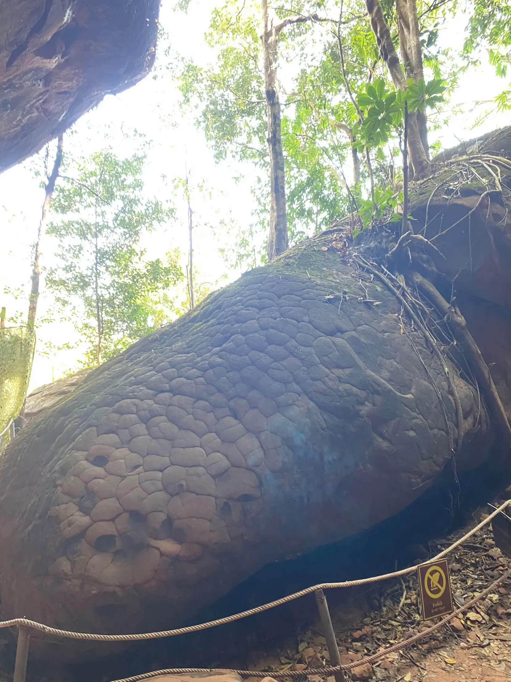 เดินถ้ำนาคา คนเดียว🤍🍋 | แกลเลอรีที่โพสต์โดย ccdp.26 | Lemon8