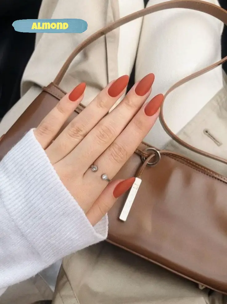 How to find your nail shape | แกลเลอรีที่โพสต์โดย m e l o n 🍉 | Lemon8