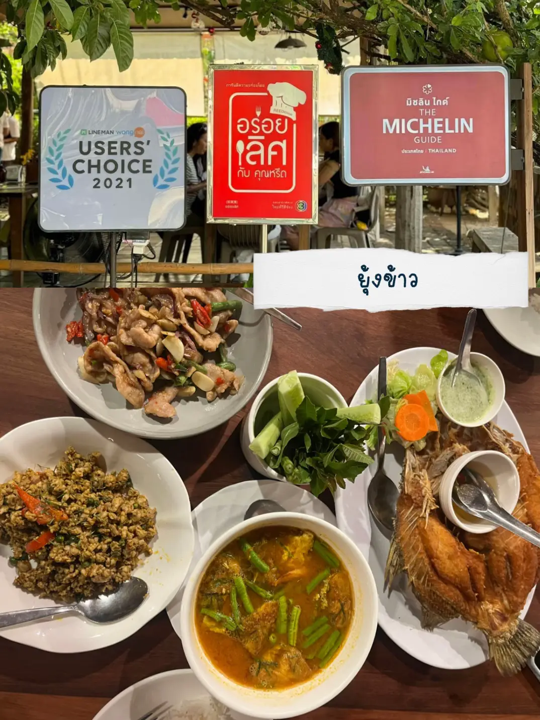 ทริปเขาใหญ่ ep.2 ไปตามรอยคัลแลน พี่จองกัน ใจฟูๆ 🥰 | แกลเลอรีที่โพสต์โดย ...