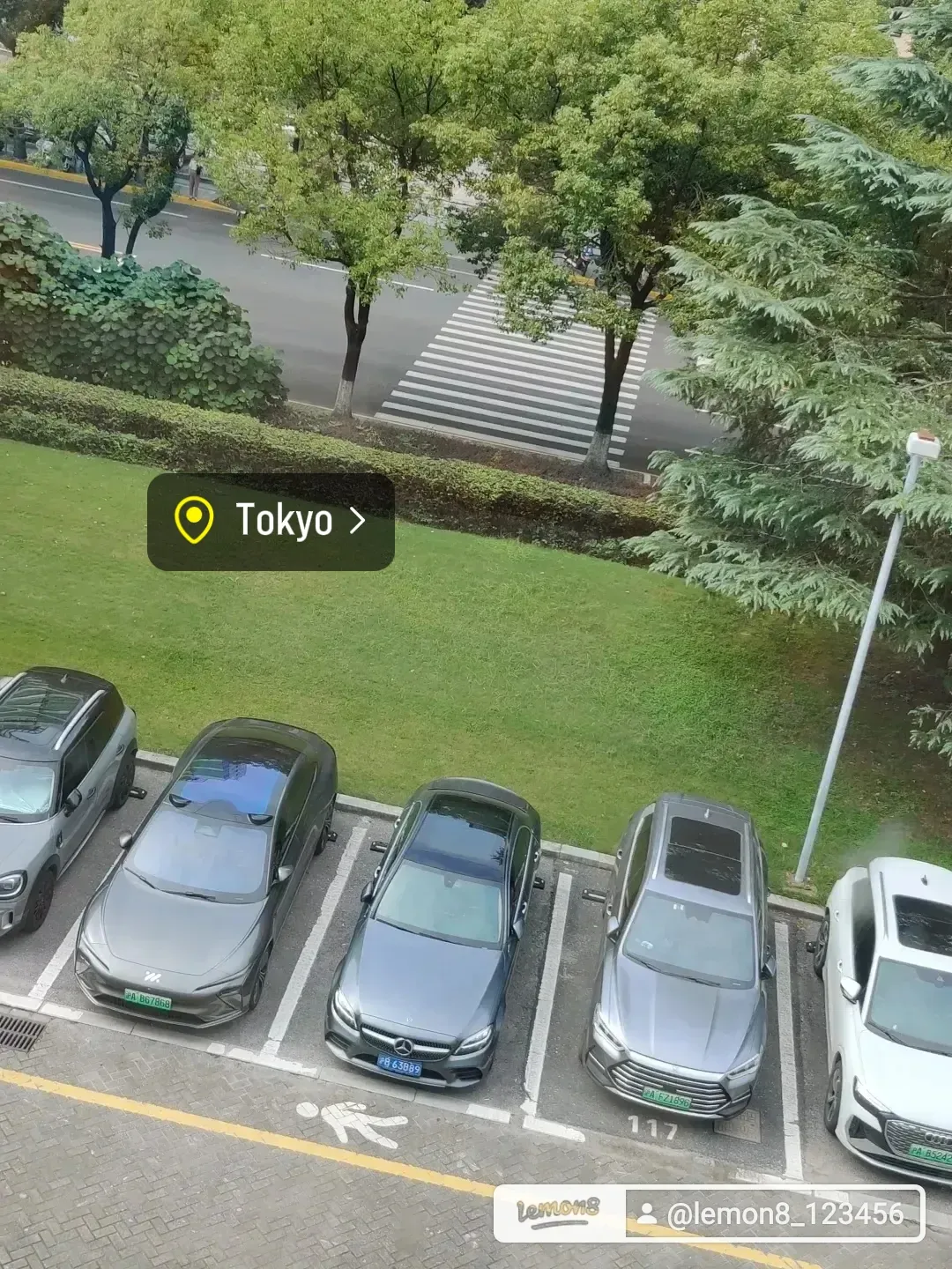 simple | Gallery posted by Lemon8eragain | Lemon8