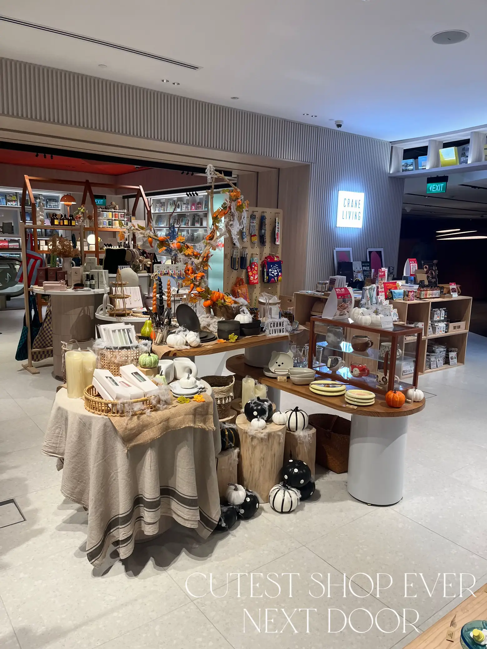 another HIDDEN study spot in town! 🌼🌼🌼 | Gallery posted by Caitlin | Lemon8