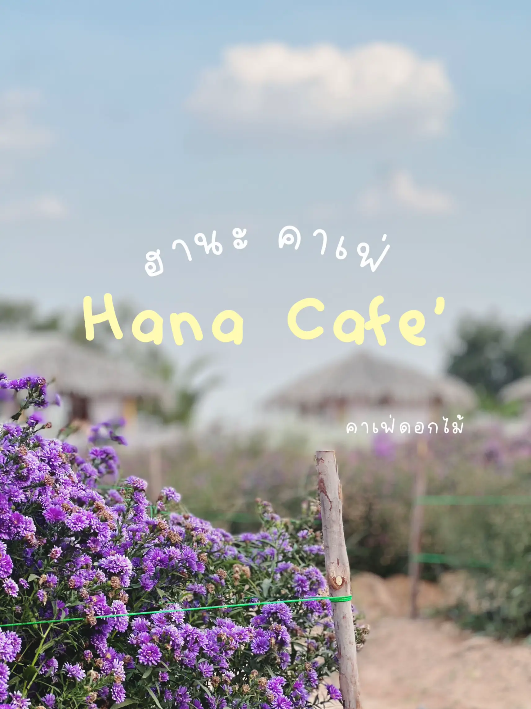 Hana Cafe’ | แกลเลอรีที่โพสต์โดย Ars Tom | Lemon8