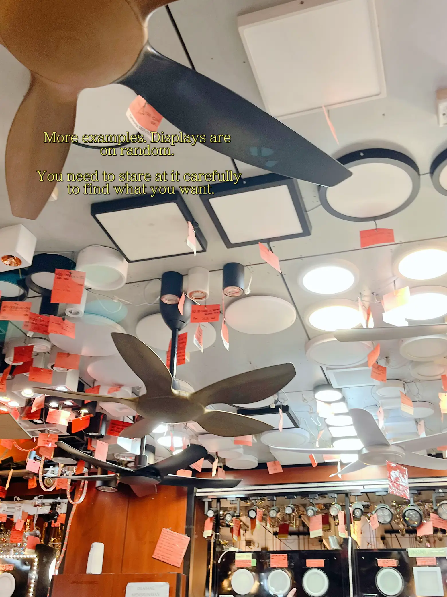 lights jb - Lemon8 Search