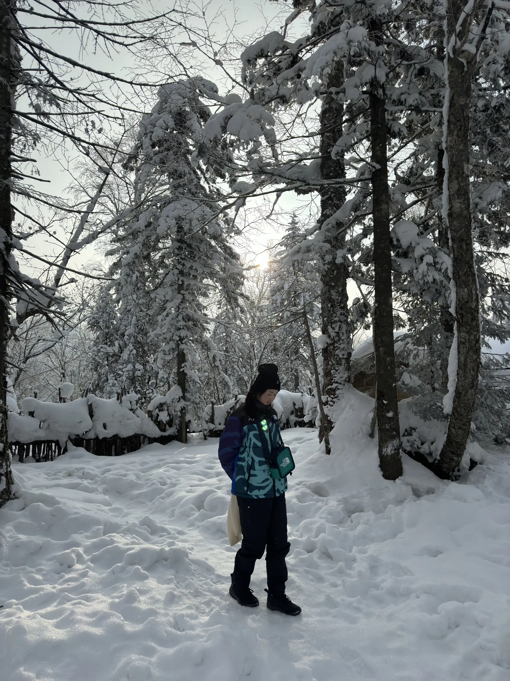 Harbin | แกลเลอรีที่โพสต์โดย Sweez_water | Lemon8