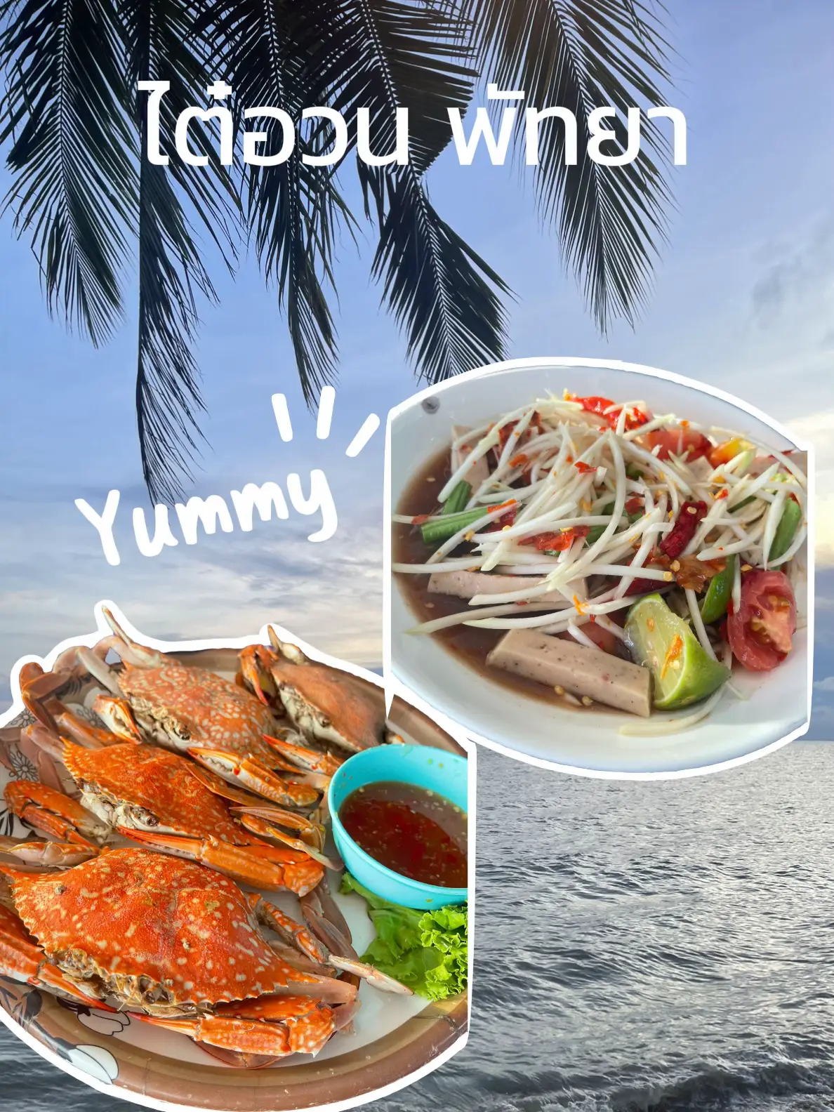 ไต๋อวน พัทยา | แกลเลอรีที่โพสต์โดย Pimsane 🪻💜 | Lemon8