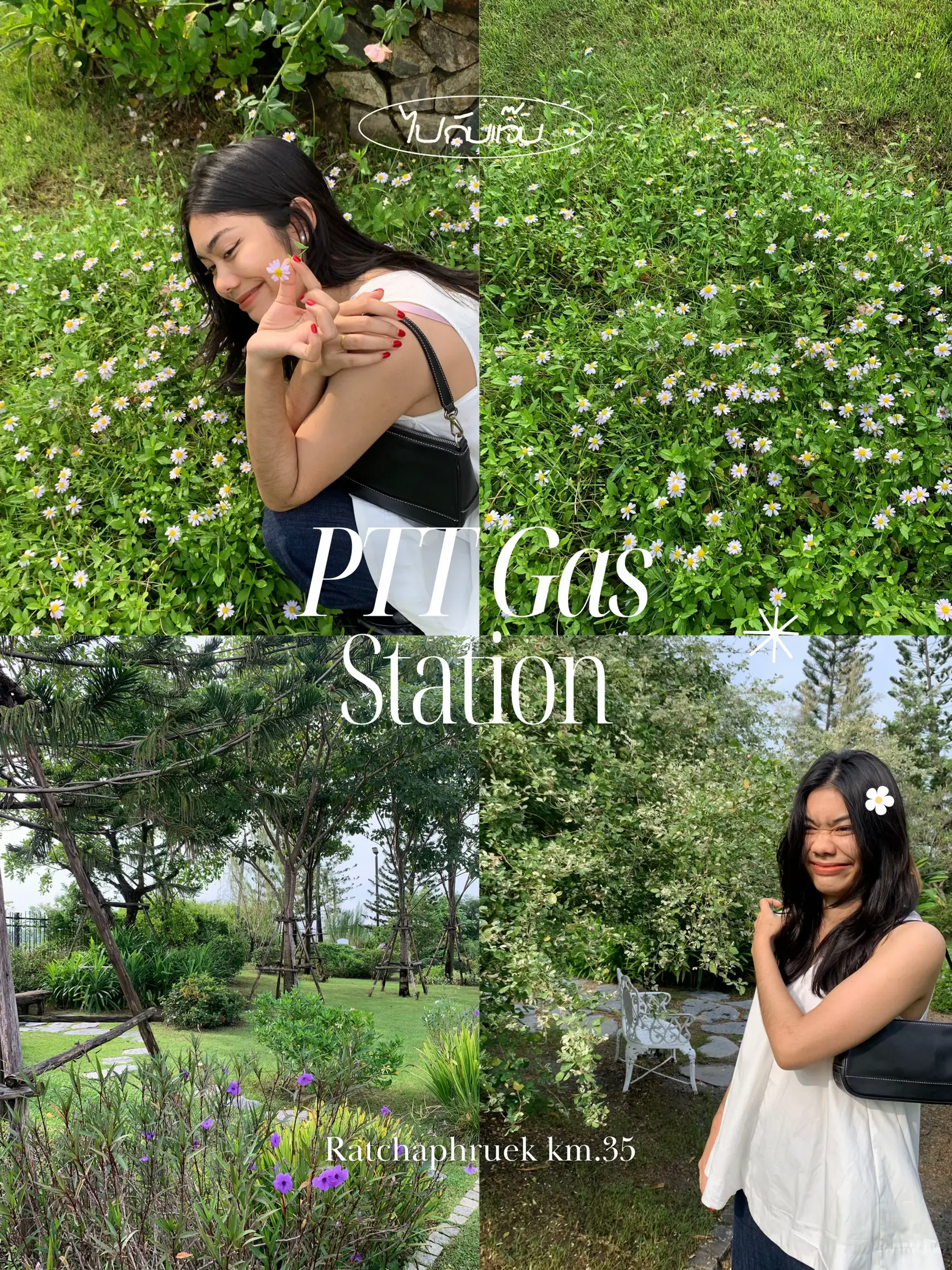 9 โลเคชั่นถ่ายรูปกับดอกไม้ 🌸🌼💖 | แกลเลอรีที่โพสต์โดย ไปกับแจ๊บ | GWJ | Lemon8