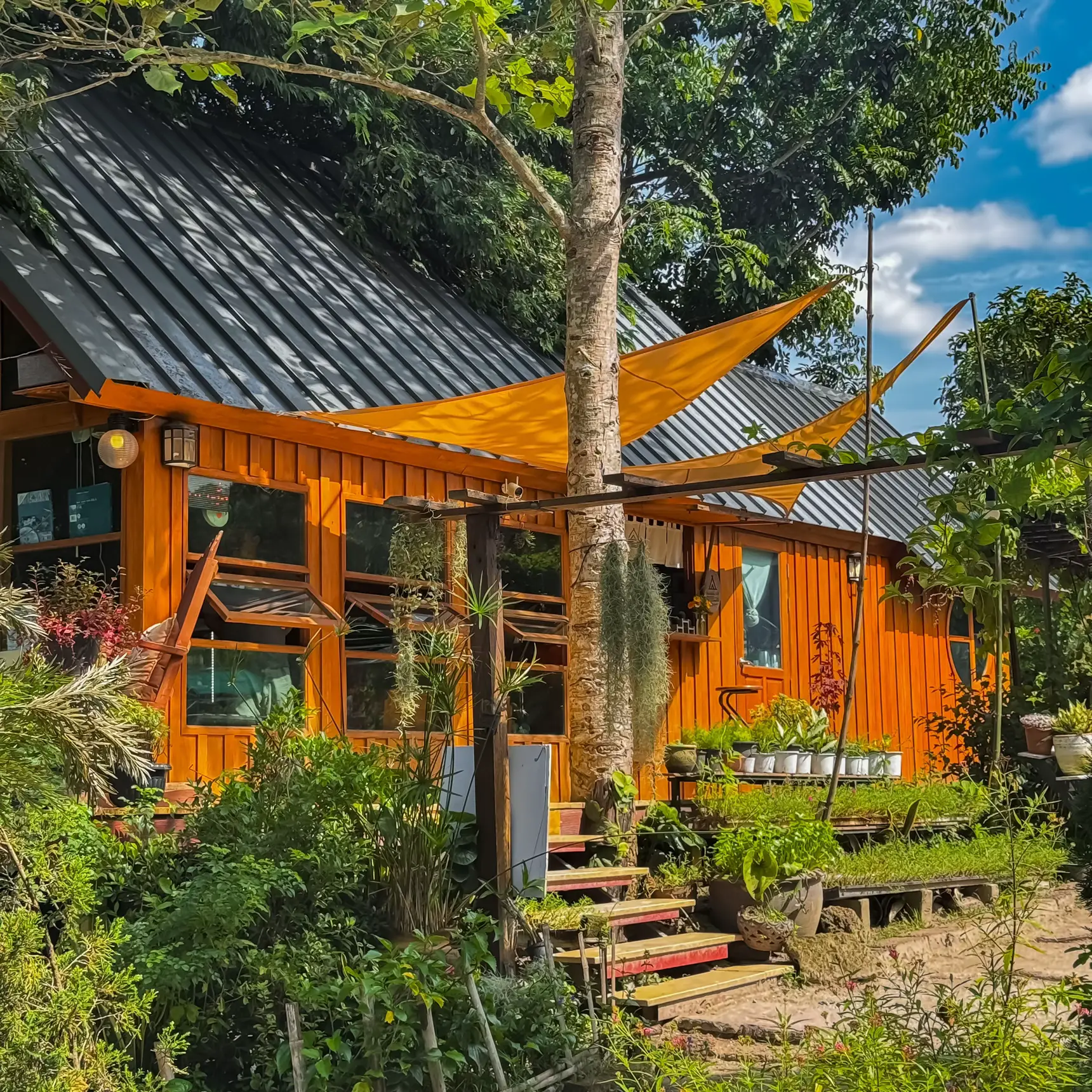 คาเฟ่กลางป่าสน 🏕🌲🌲 | แกลเลอรีที่โพสต์โดย Dance’s Day off | Lemon8