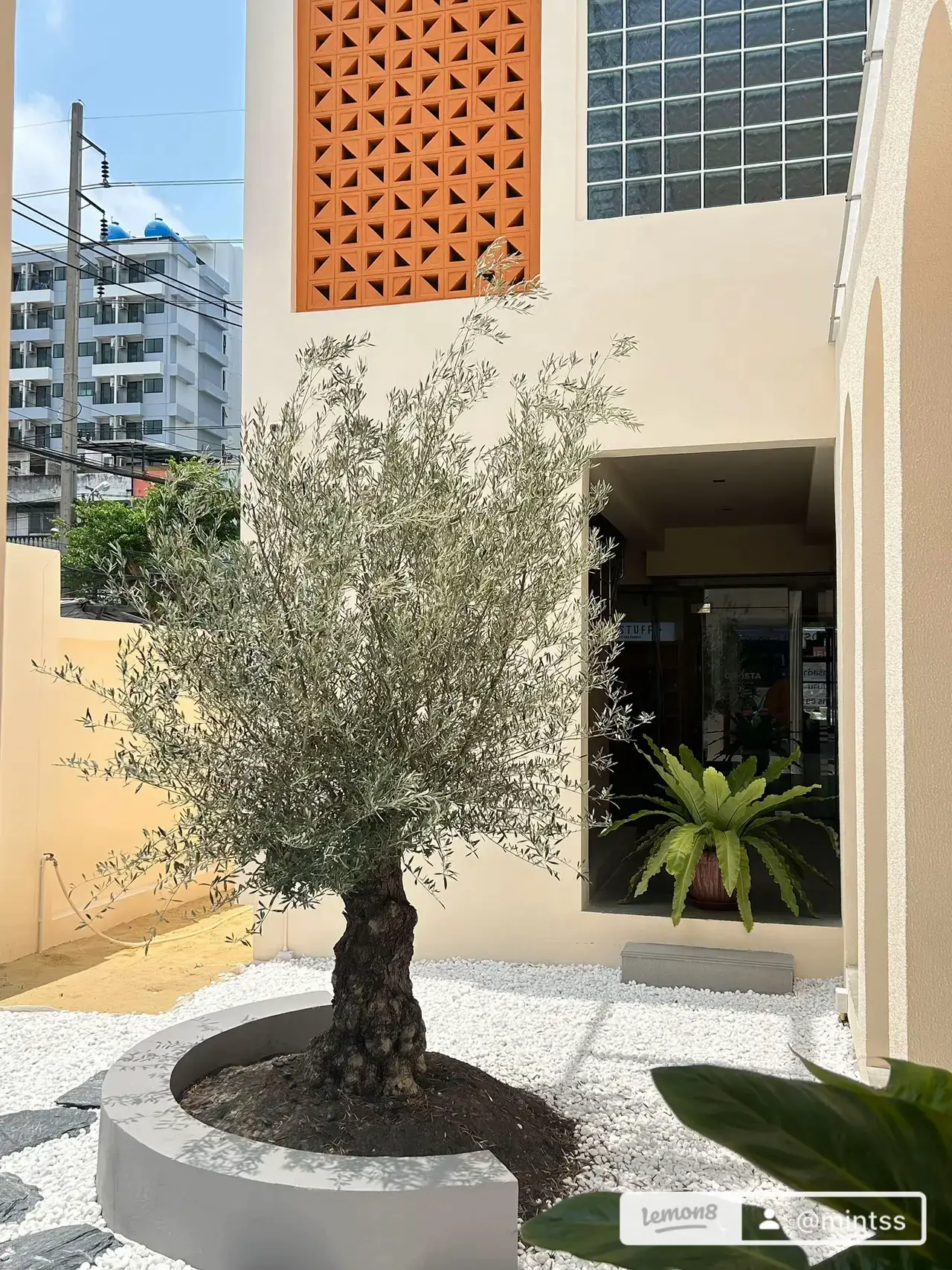 คาเฟ่เปิดใหม่สุดคริ้ว! Goosta Cafe☀️🪿 | แกลเลอรีที่โพสต์โดย Mintsrc ...