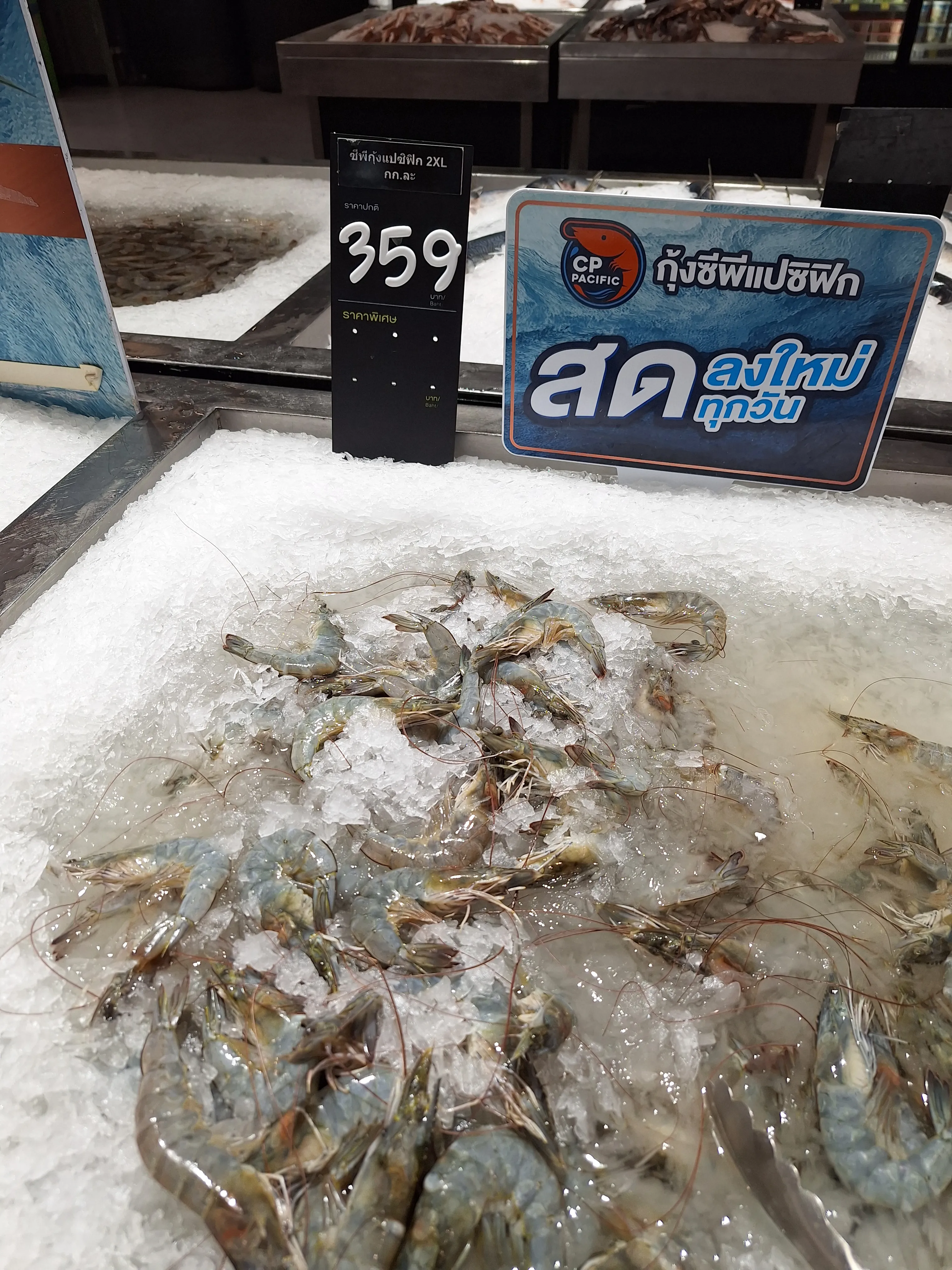(Maid Pay Market) Price Ink Shrimp | 📍 Tesco Lotus | Gallery posted by ...