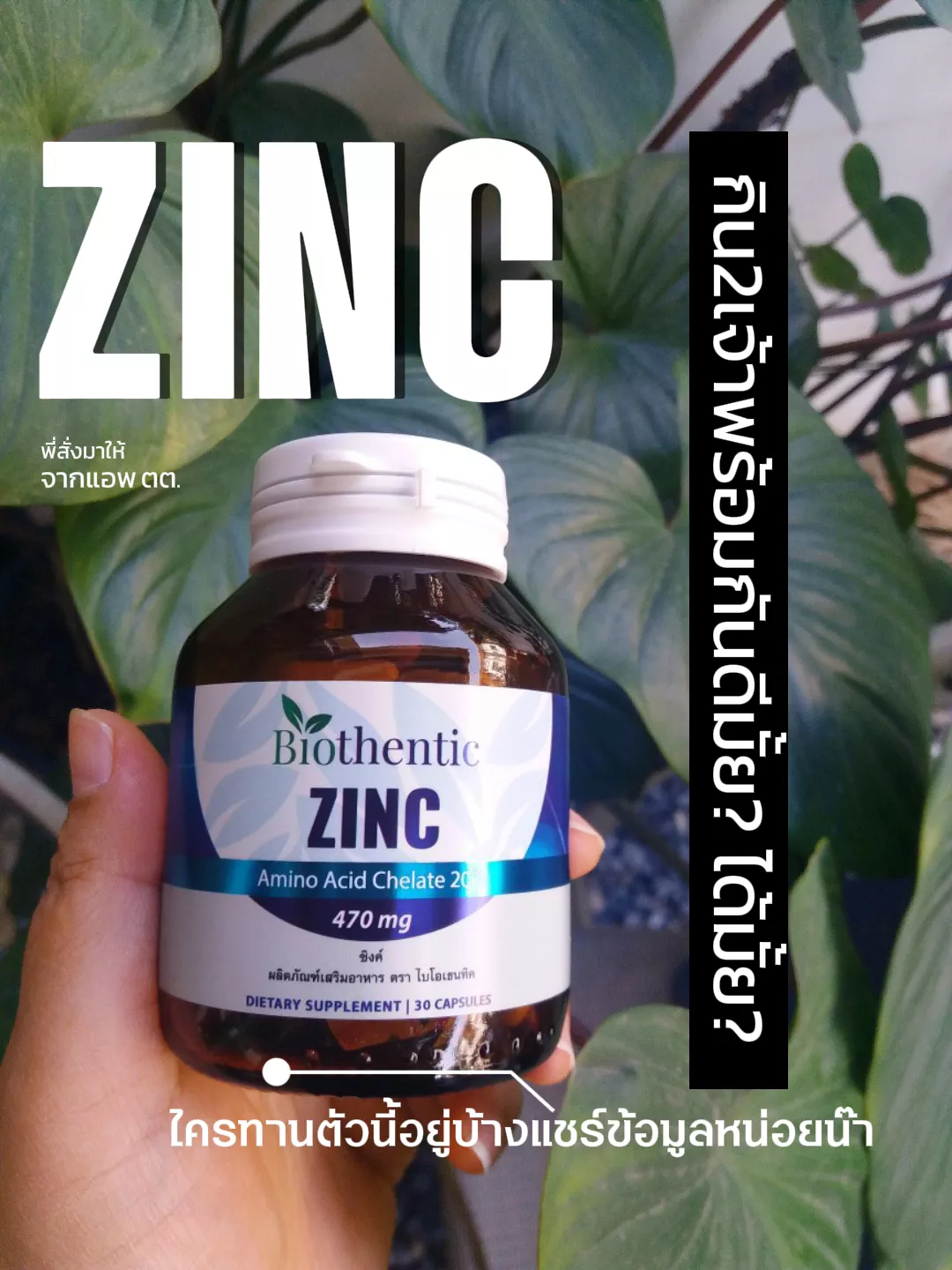 "ZINC" | แกลเลอรีที่โพสต์โดย PPHome&2Cats | Lemon8