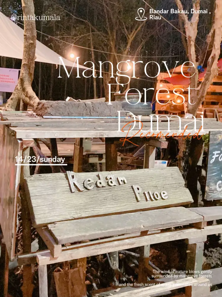 Wisata Alam Hutan Bakau, Dumai | Galeri diposting oleh Rinta | Lemon8