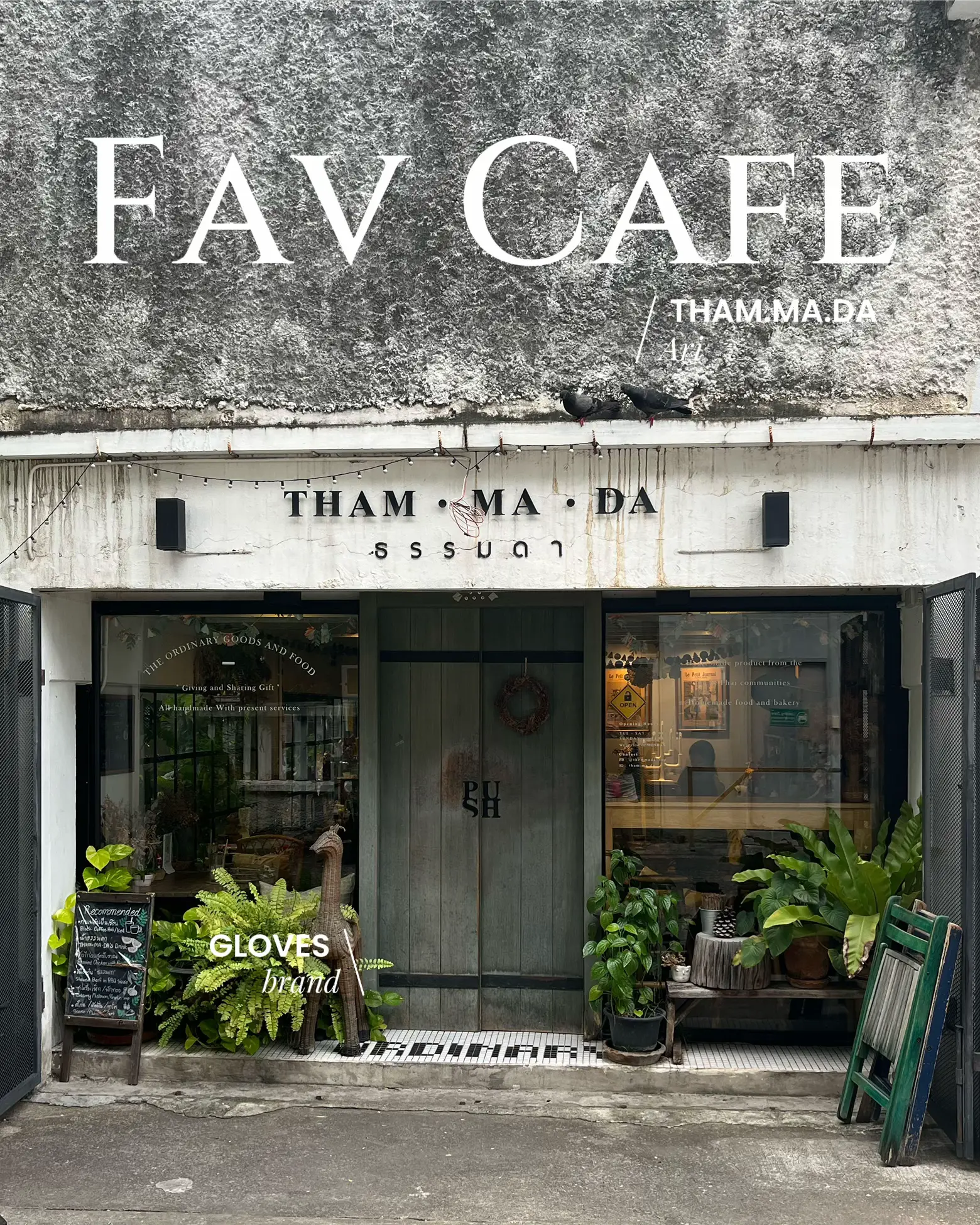 THAM.MA.DA Cafe & Shop อร่อยและอบอุ่น💛 | แกลเลอรีที่โพสต์โดย ...