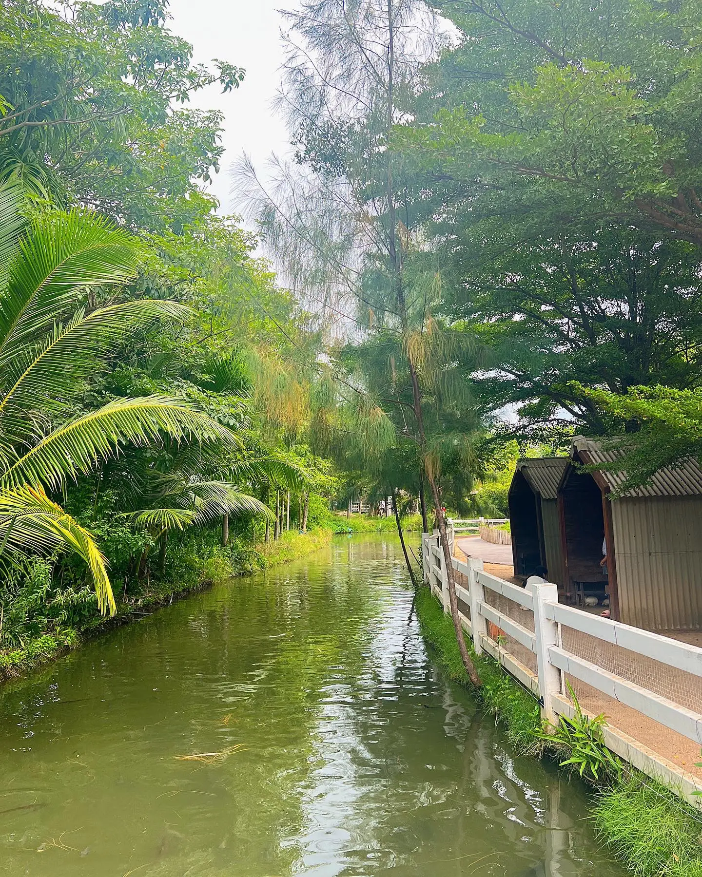 คาเฟ่สัตว์Dubuaฟีลธรรมชาติมาก 🌳 𓈈 🕊️ | แกลเลอรีที่โพสต์โดย Nonichtnot ...