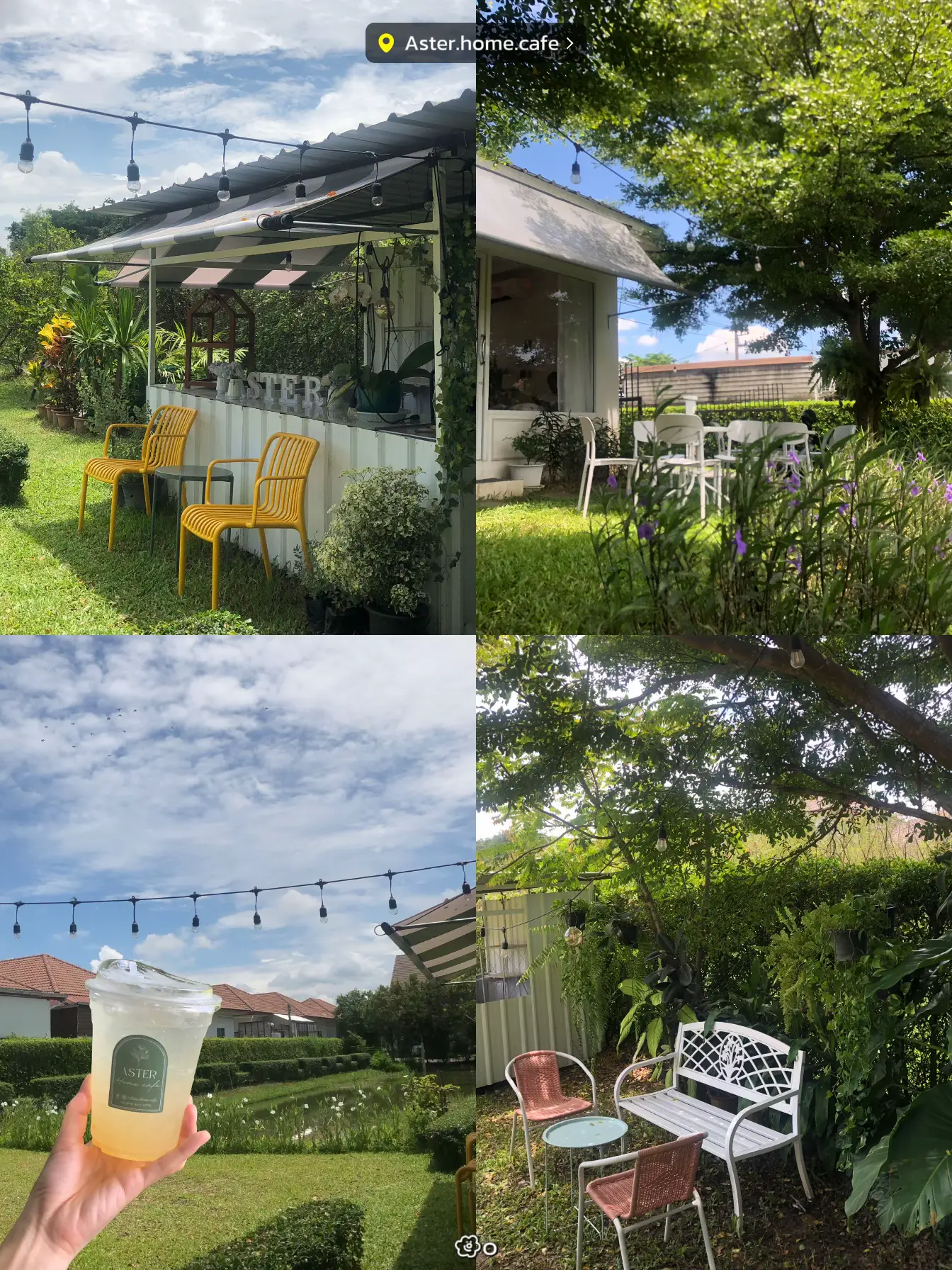 Aster.home.cafe☕️ | คาเฟ่นั่งทำงานย่านดอยสะเก็ด โฮมคาเฟ่💻💬 | แกลเลอรีที่โพสต์โดย เท็นเอง ⌣̈⃝ ...