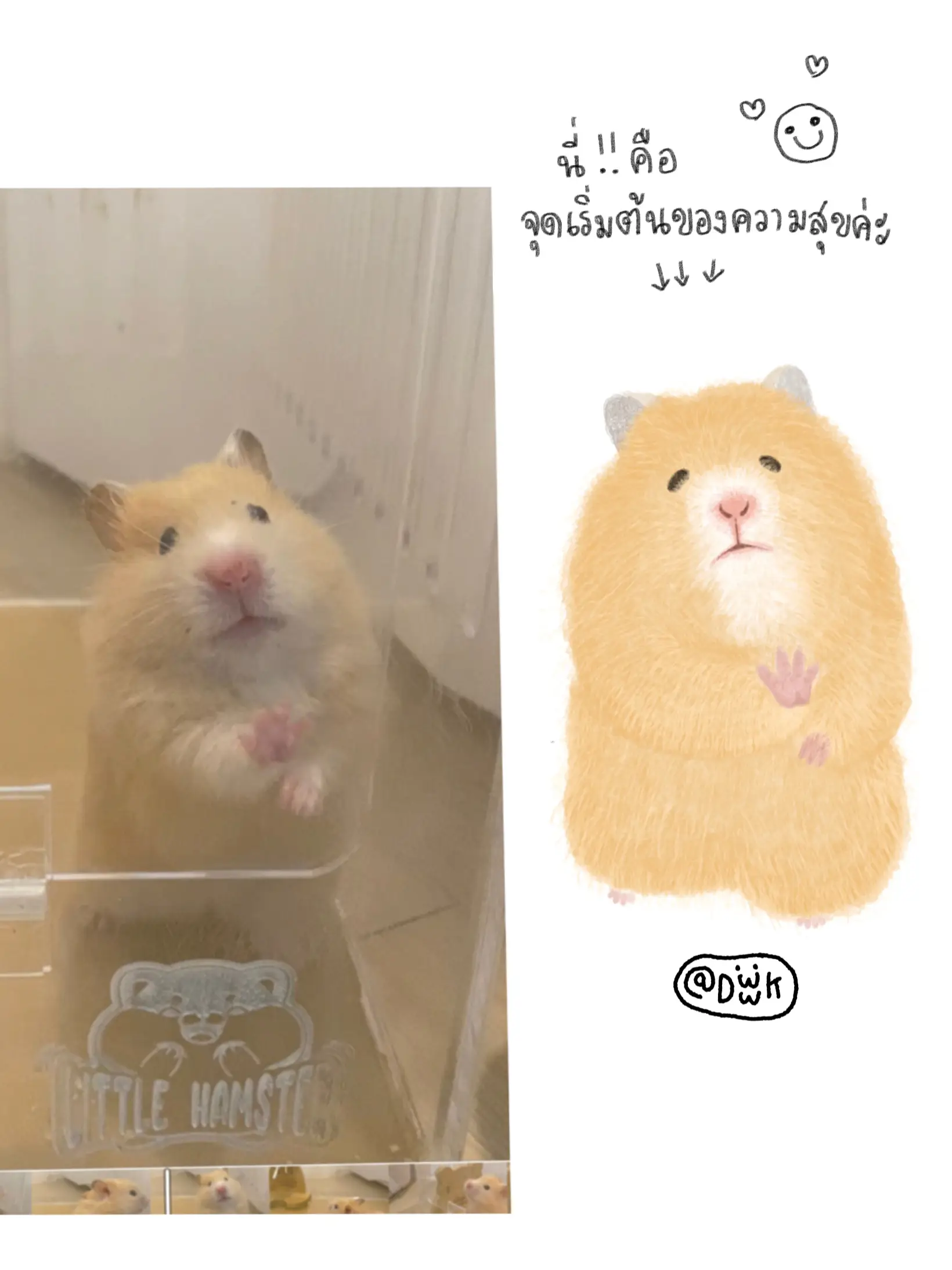 ระบายสี เพิ่มความสุข😄💗 | แกลเลอรีที่โพสต์โดย Dookdookart˚ ༘♡ | Lemon8