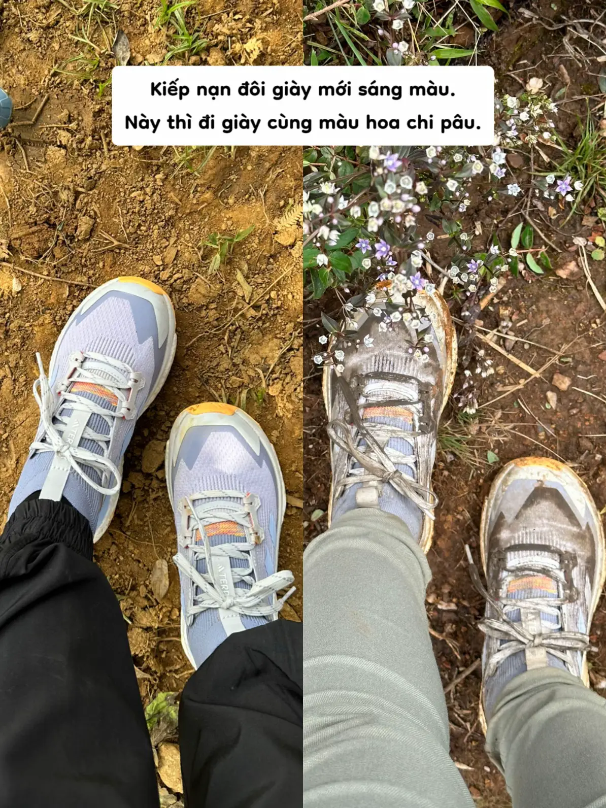 KIẾP NẠN HÀNH TRÌNH NGẮM HOA CHI PÂU - TÀ CHÌ NHÙ | Gallery posted by Green Jade | Lemon8