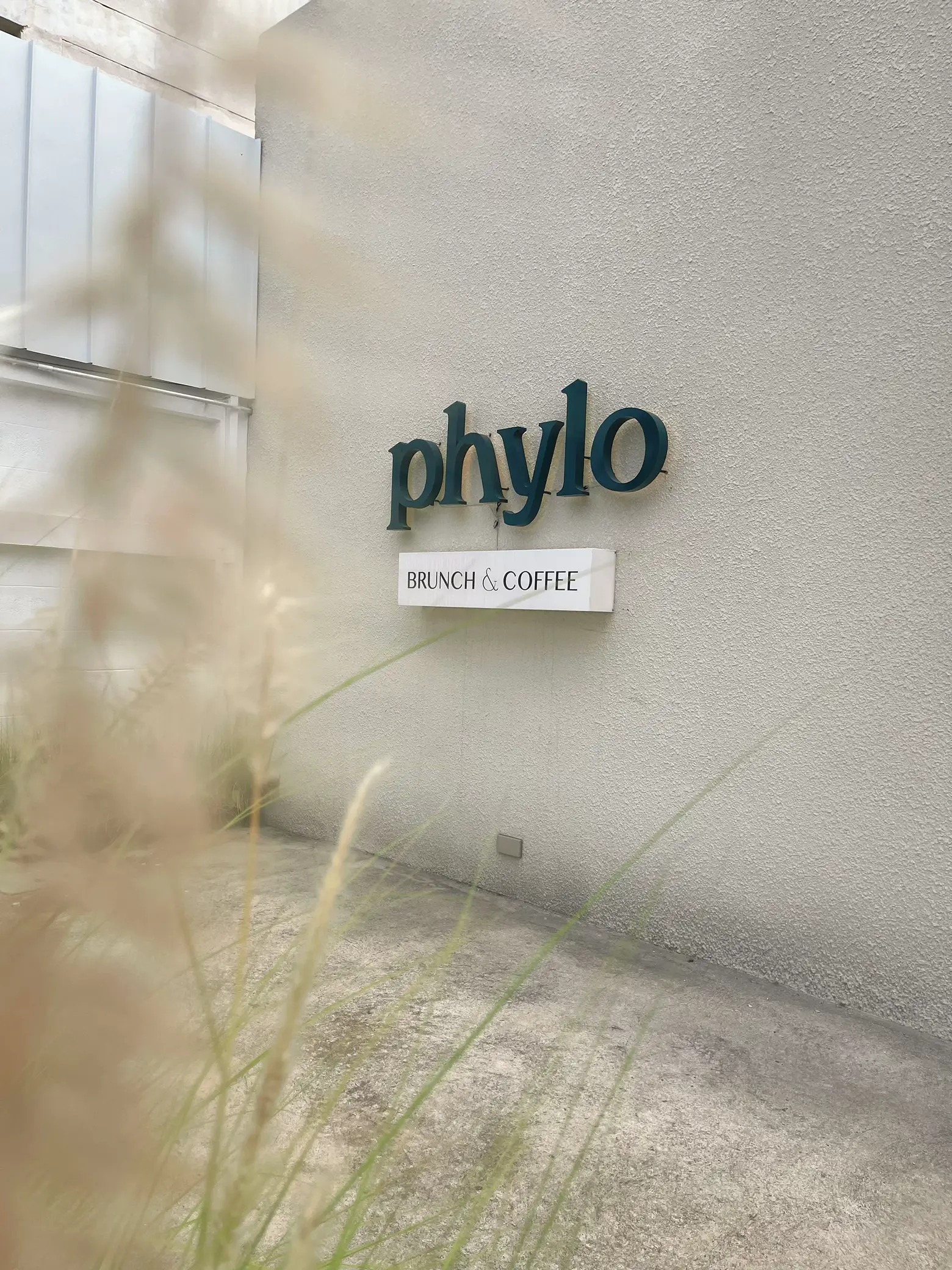 Phylo.Cafe 🤎 คาเฟ่เปิดใหม่ย่านบางกรวย นนทบุรี 🌳 | แกลเลอรีที่โพสต์โดย ...