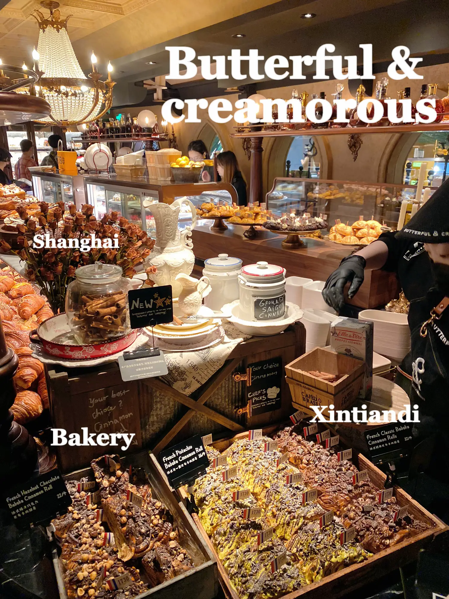 Butterful Creamorous Shanghai - การค้นหาใน Lemon8