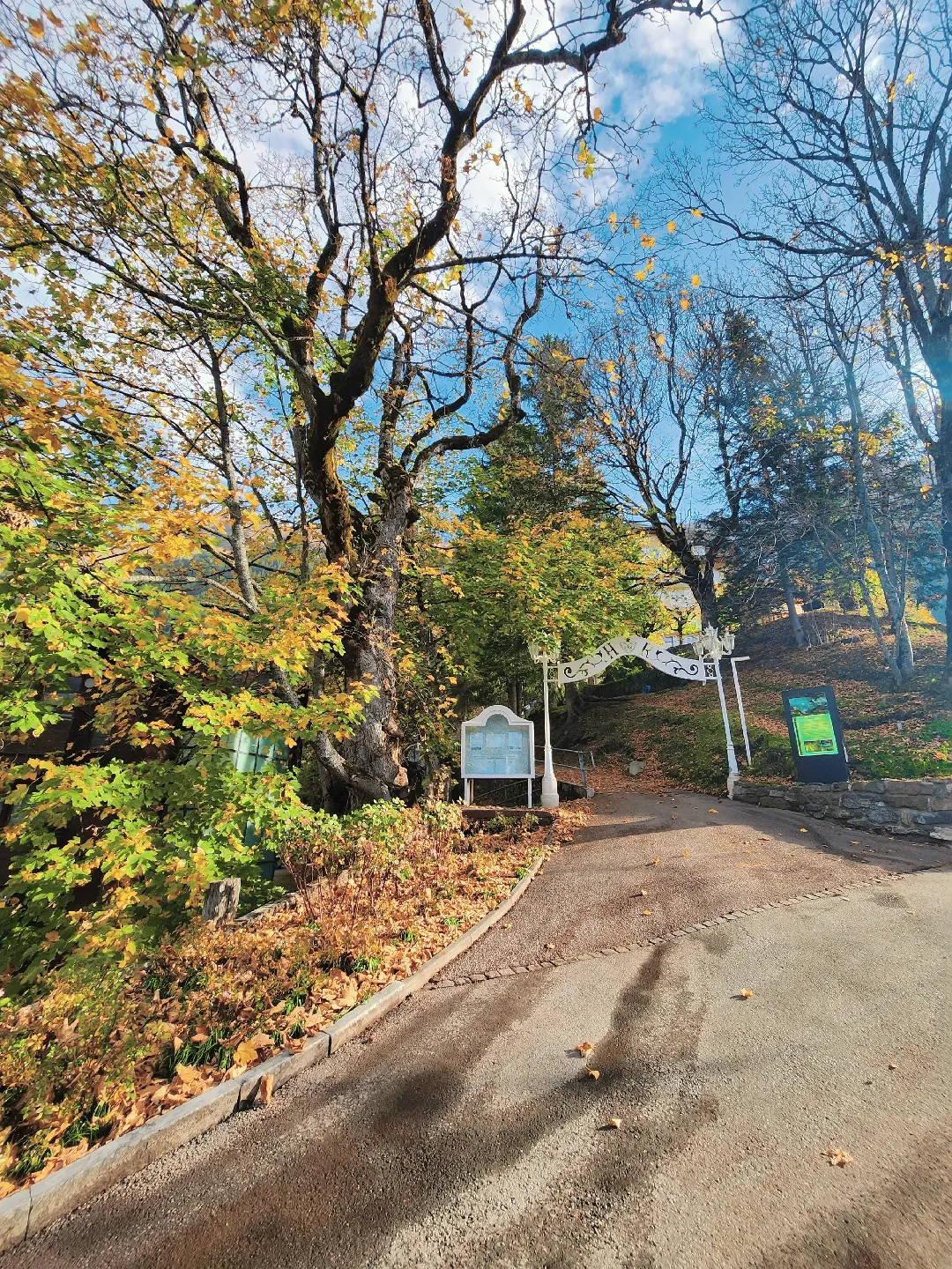 ขึ้นเขาไปเที่ยวเมืองน่ารักๆ ที่ Switzerland🇨🇭 | แกลเลอรีที่โพสต์โดย katy.natacha | Lemon8