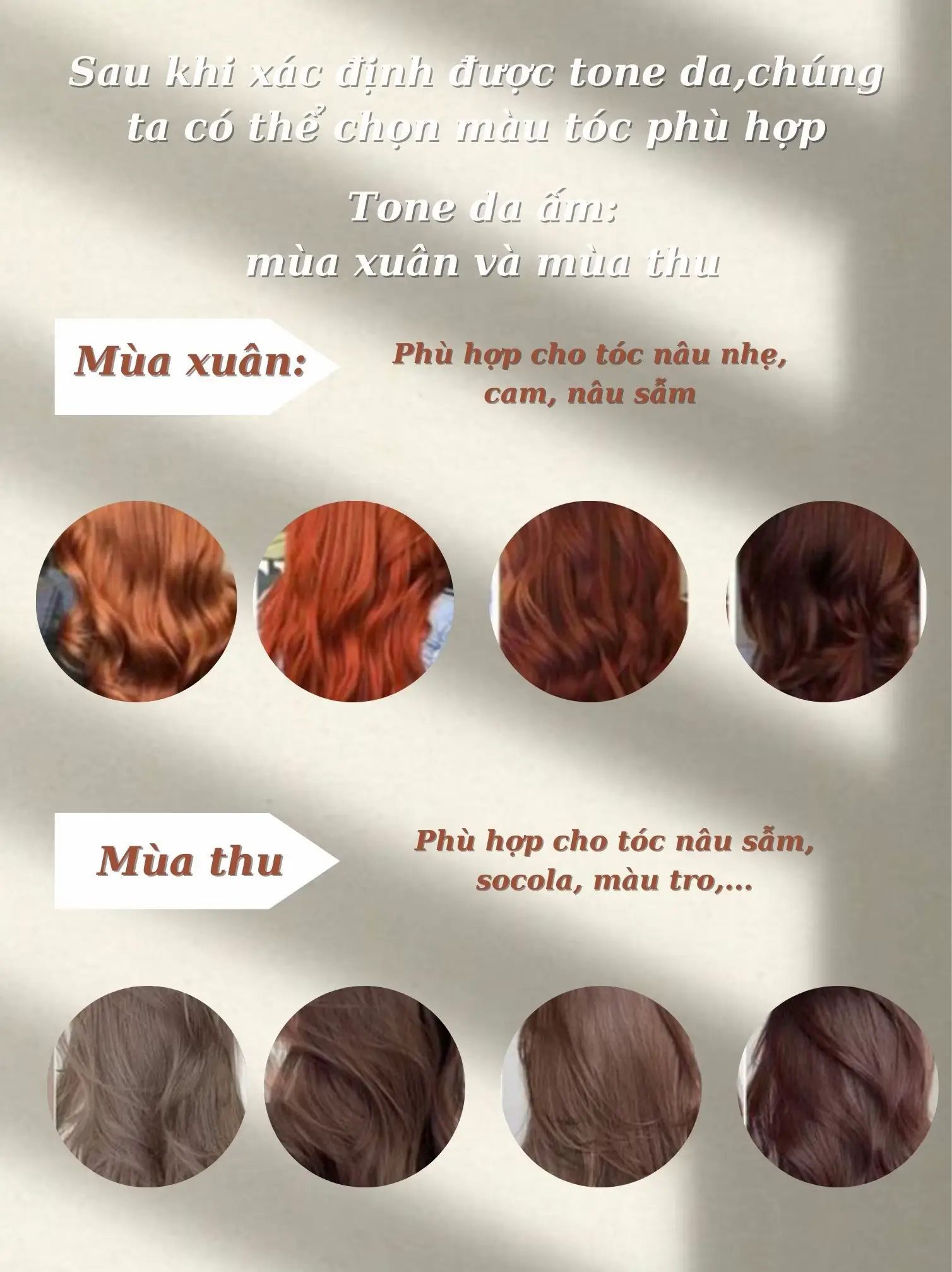 Cách lựa chọn màu tóc phù hợp với làn da | Bộ sưu tập do Th.dunh đăng | Lemon8