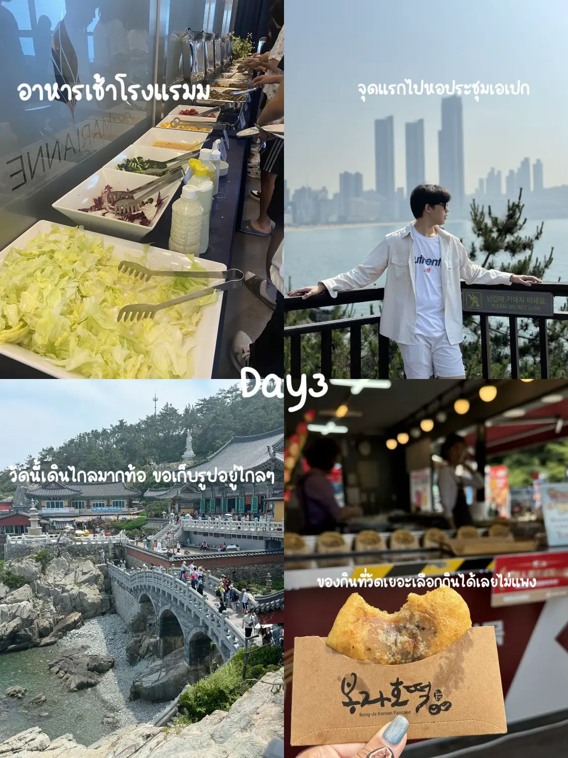 เที่ยวเกาหลีกับทัวร์ 5999฿ | แกลเลอรีที่โพสต์โดย Nsix | Lemon8