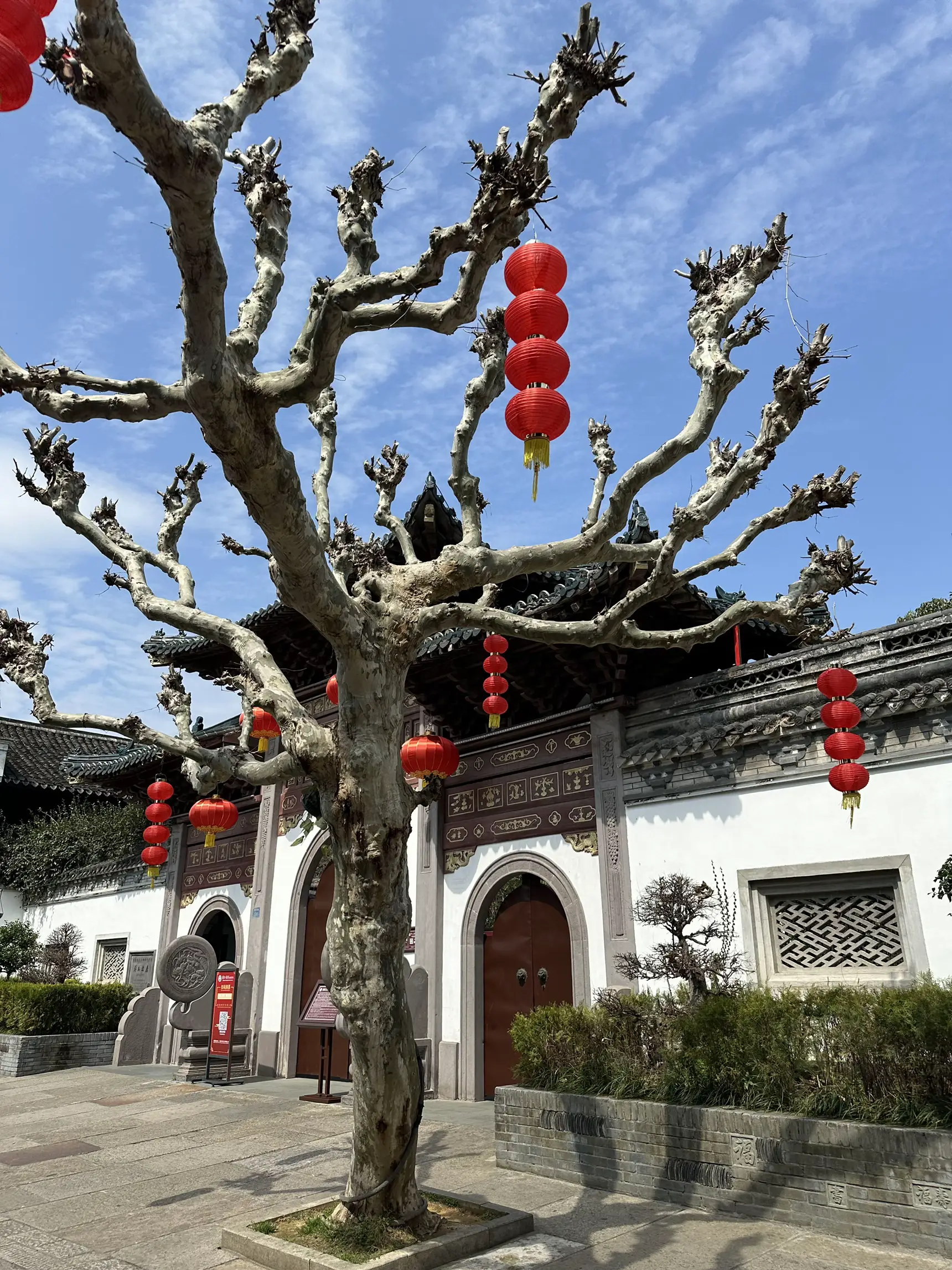 หนิงโป เมืองที่คนไม่ค่อยรู้จัก | แกลเลอรีที่โพสต์โดย Chingching | Lemon8