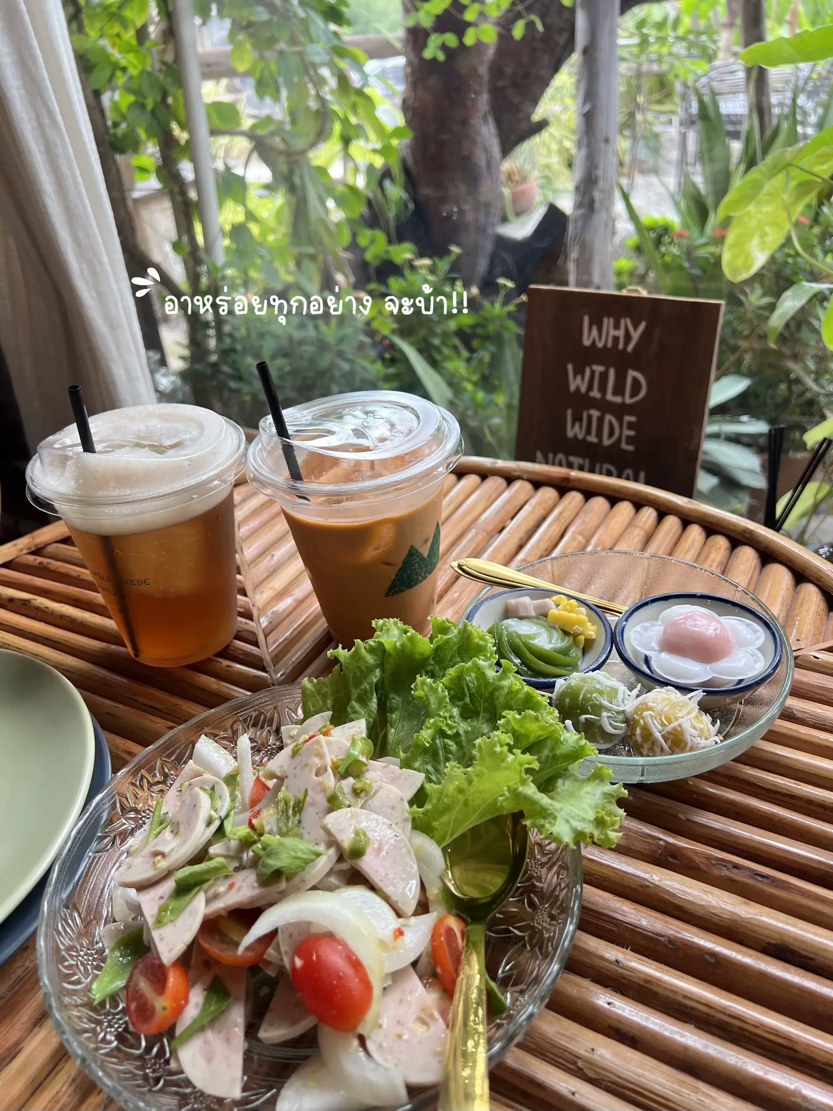 Why wild wide Natural cafe | แกลเลอรีที่โพสต์โดย 🍒📷 | Lemon8