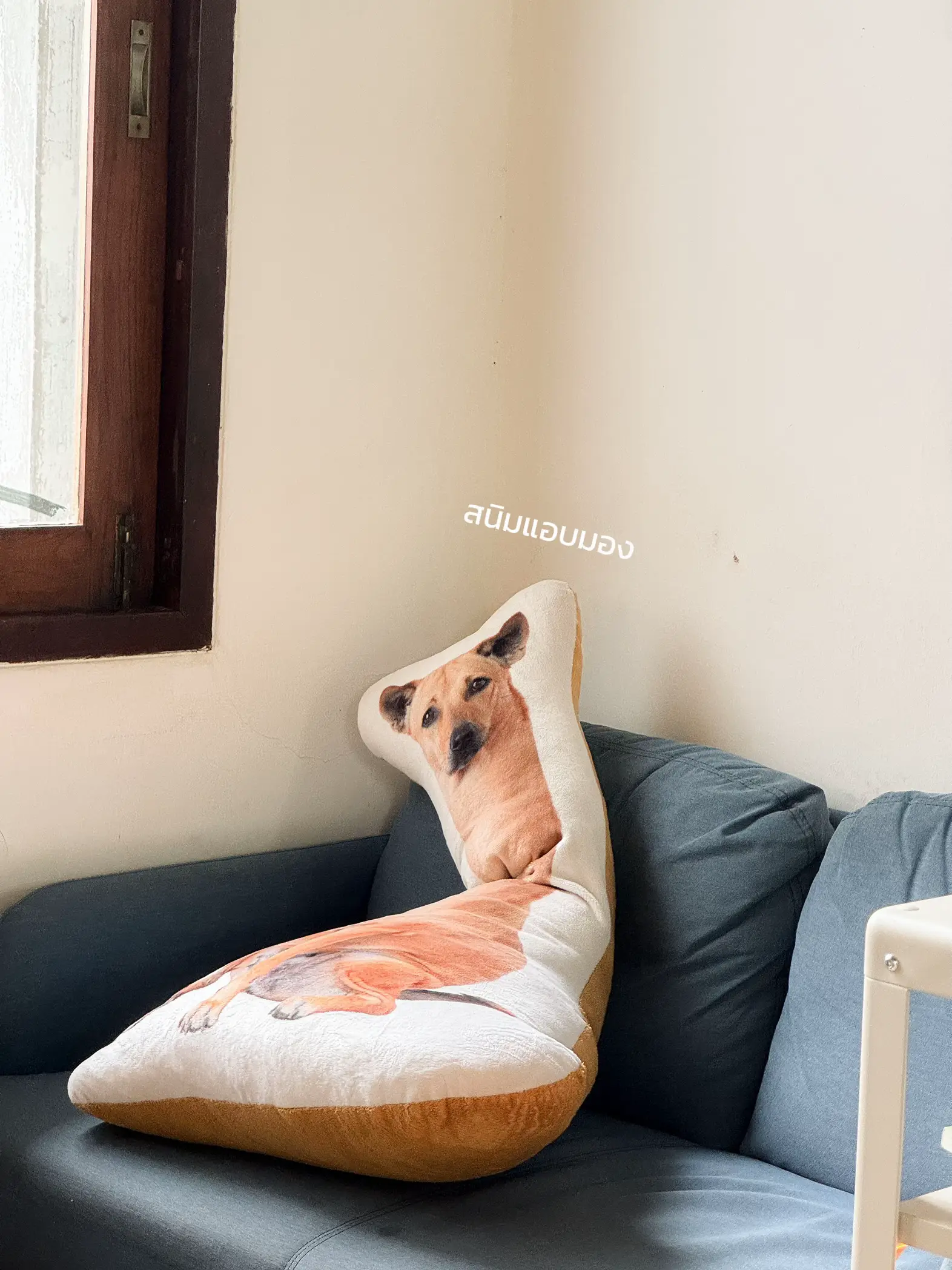 ไปนอนชิลที่คาเฟ่ To chare | แกลเลอรีที่โพสต์โดย Osaka Acrk | Lemon8