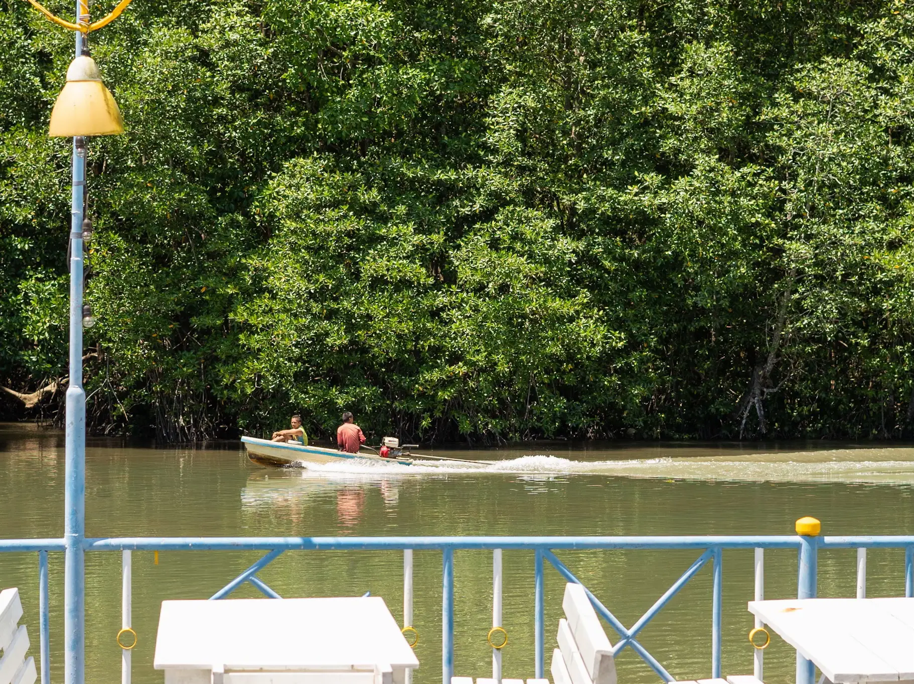 ยำใบเหลียงกรอบ ไม่เคยกินเมนูนี้ 😍 | แกลเลอรีที่โพสต์โดย EverywherewithJ ...