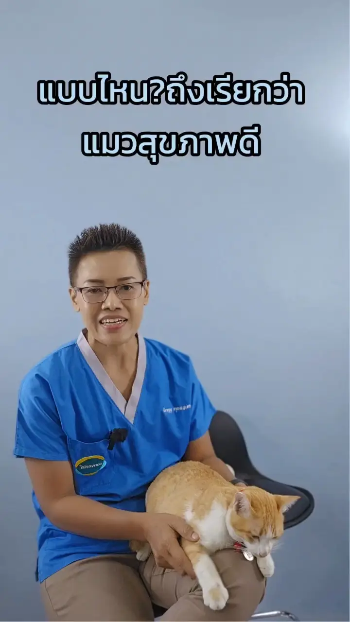 แบบไหน?เรียกว่าแมวสุขภาพดี | วิดีโอที่เผยแพร่โดย Nongnooch Boonp | Lemon8