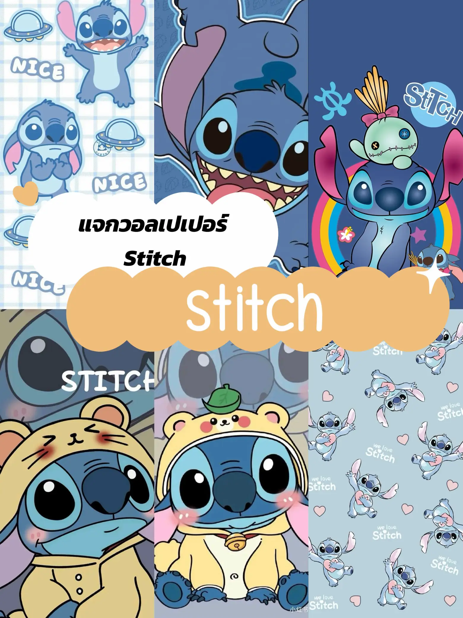 Stitch | แกลเลอรีที่โพสต์โดย มู่หลานชอบแจก | Lemon8