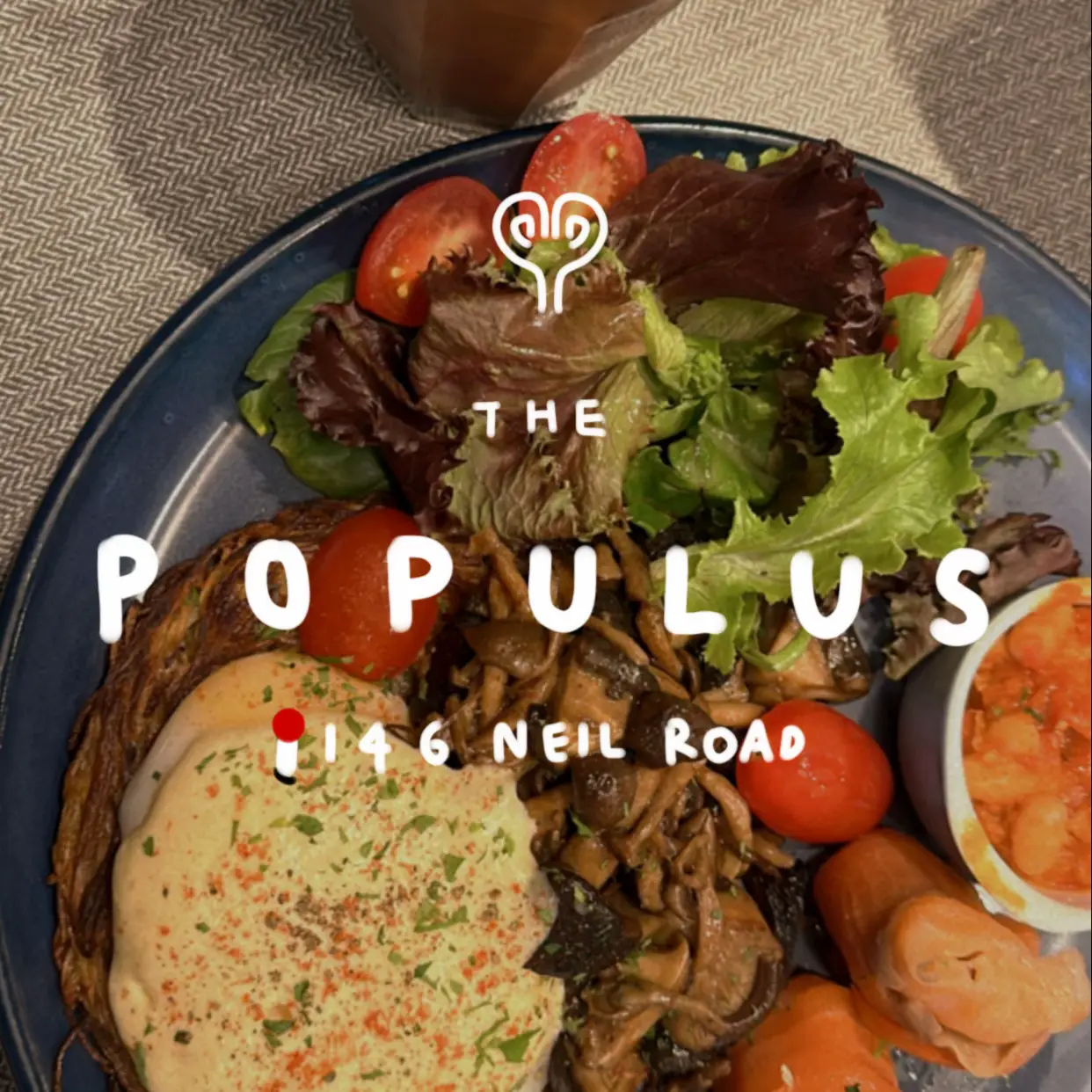 ☕️ populus 😋 | แกลเลอรีที่โพสต์โดย ä | Lemon8