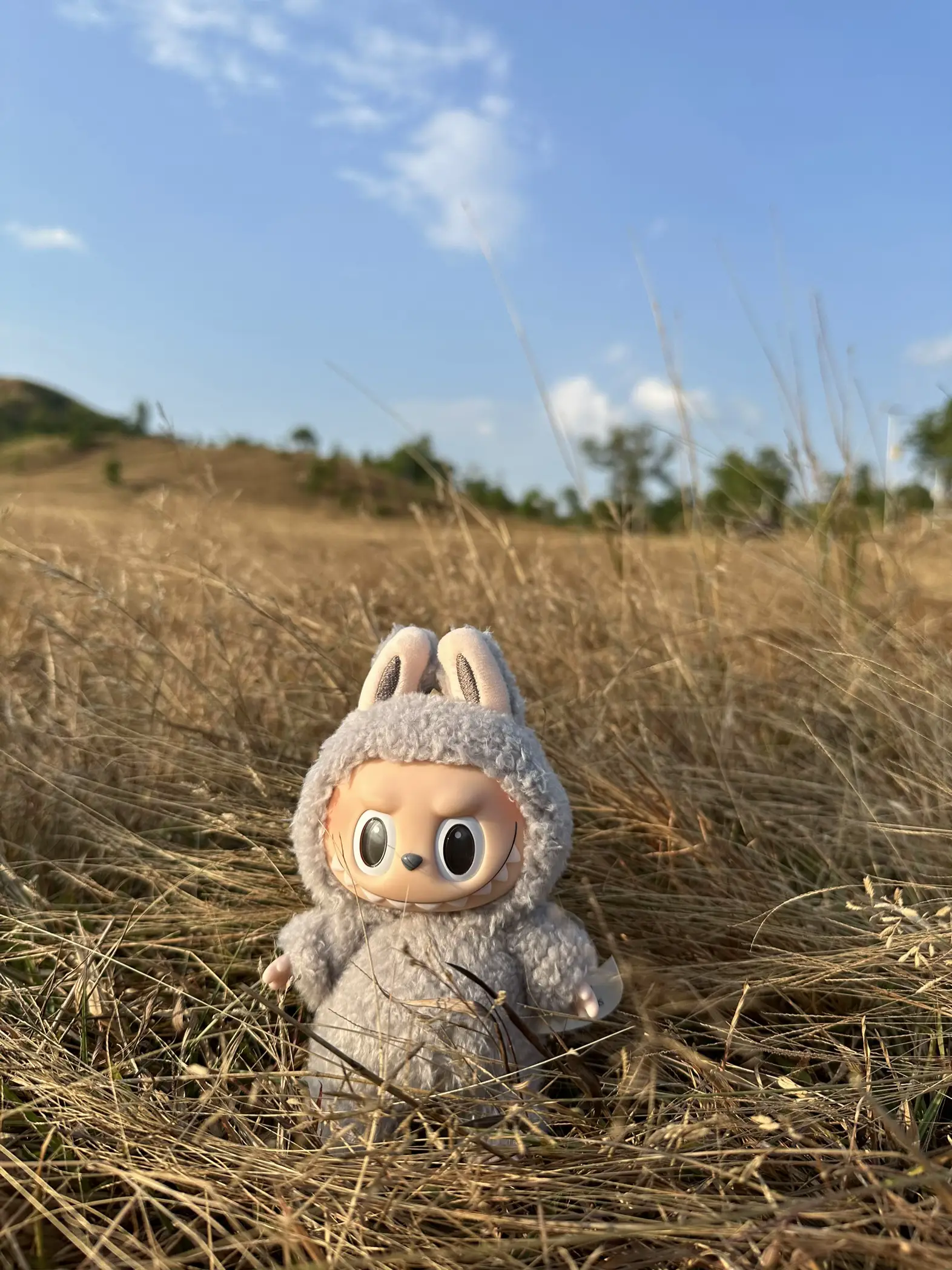 19 ไอเดียยอดนิยมเกี่ยวกับ Labubu Popmart Taiwan ในปี 2024