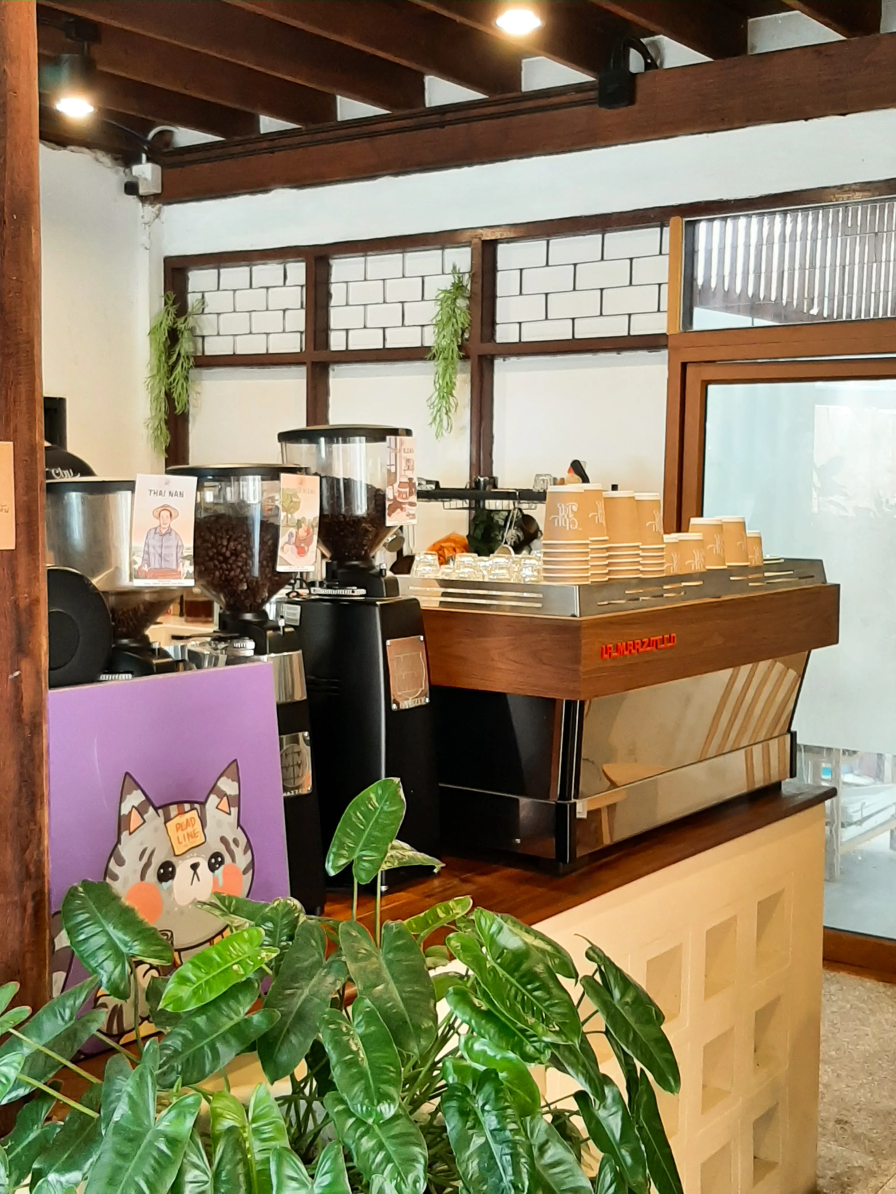 'ChuJai [ชูใจ]' คาเฟ่ขอนแก่น Activity เพียบ!!! | แกลเลอรีที่โพสต์โดย _imyour_palm | Lemon8